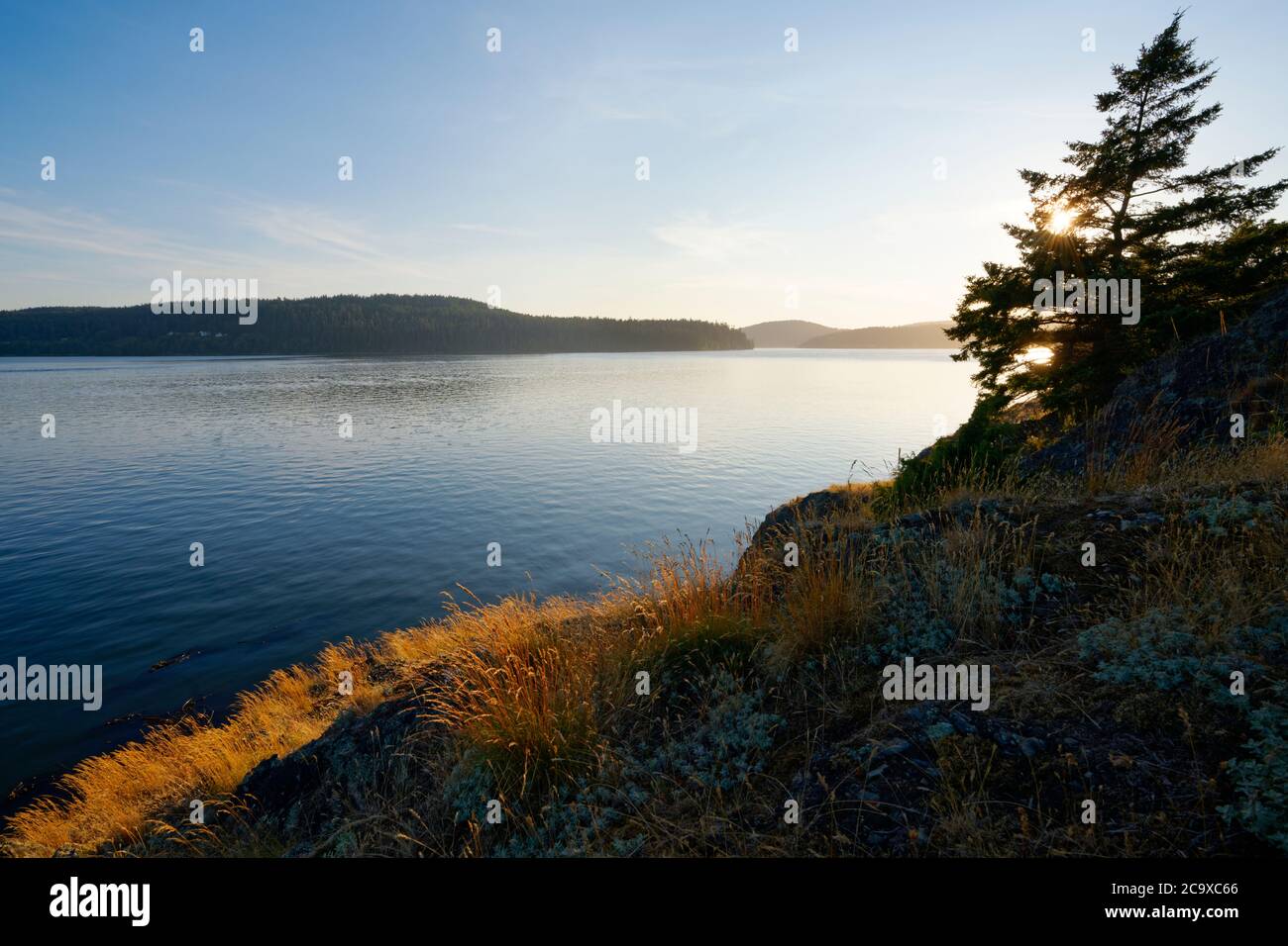 Grassy meadow on rocky coast overlooking Skagit Bay, Skagit Island ...
