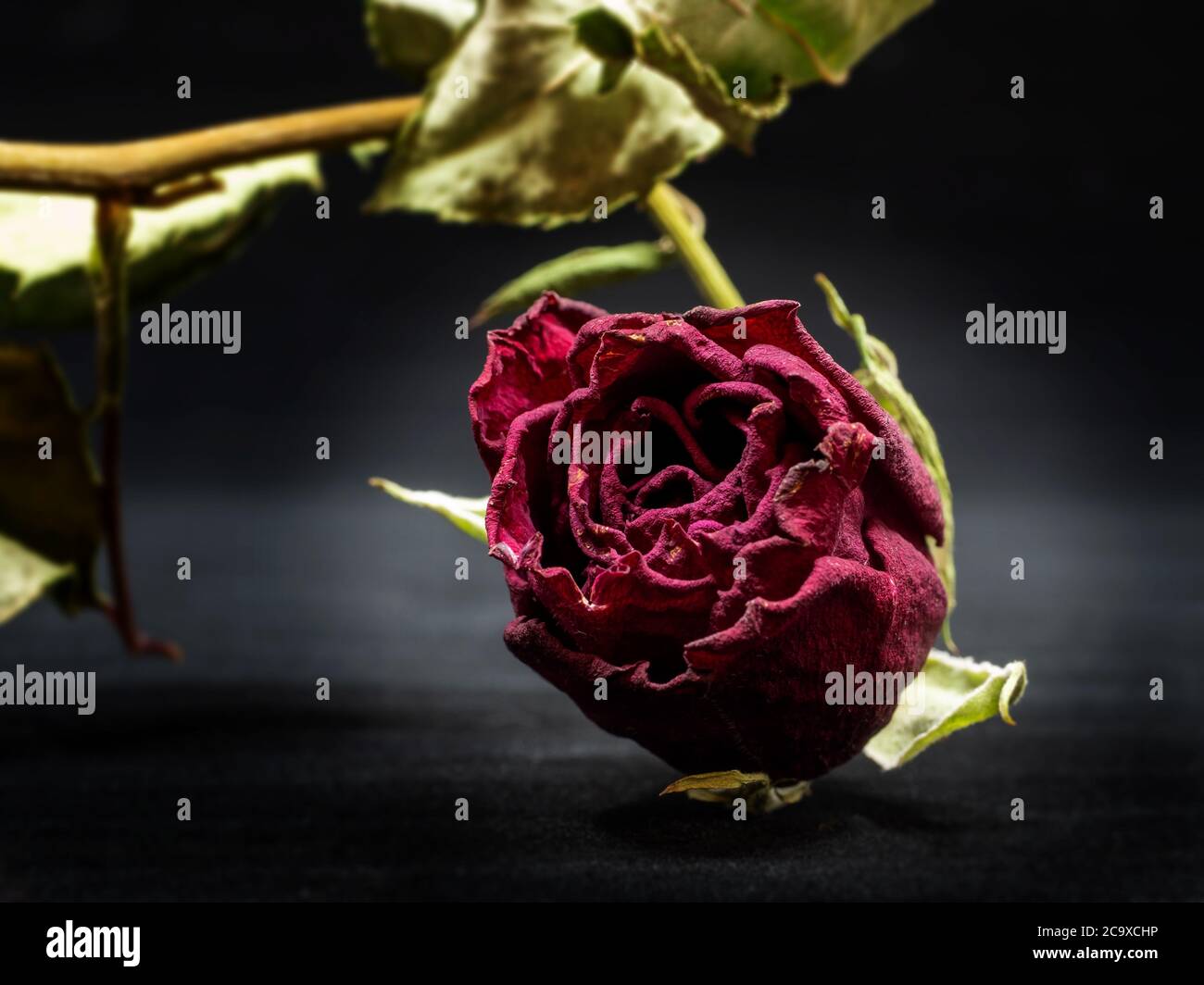 Bouquet dried red roses hi-res stock photography and images - Alamy