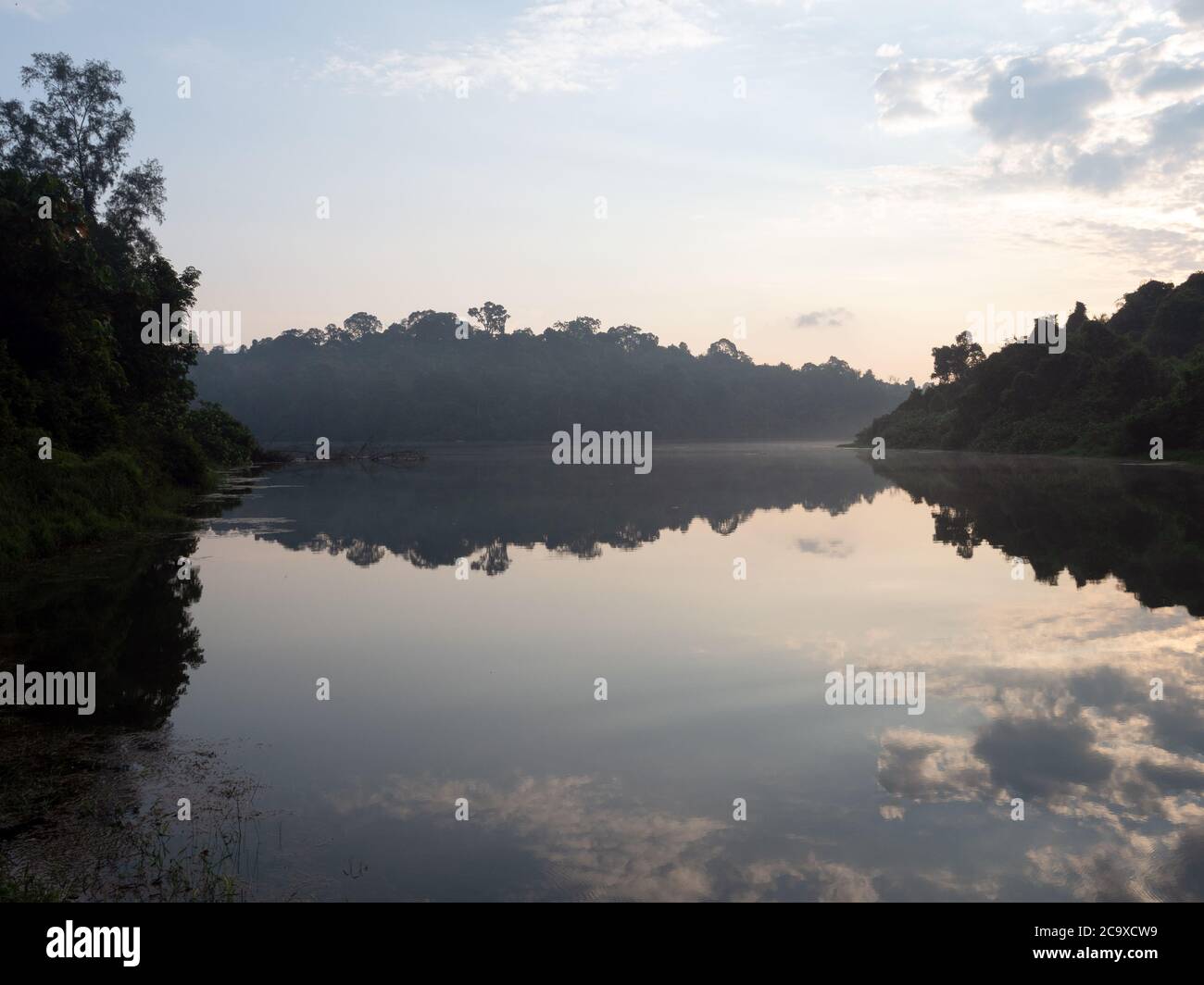 Macritchie High Resolution Stock Photography and Images - Alamy