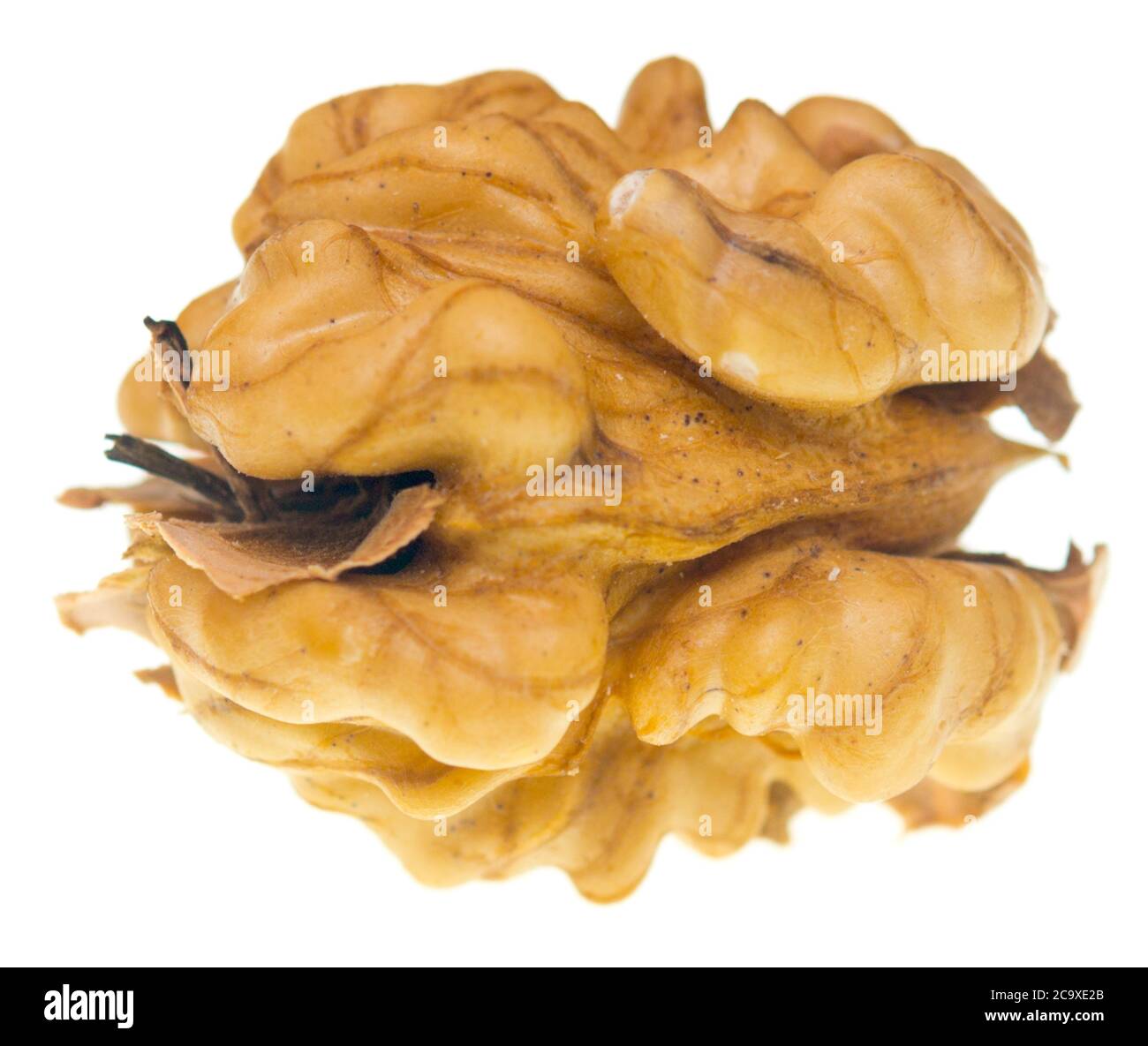 Walnut without shell isolated on white background Stock Photo - Alamy