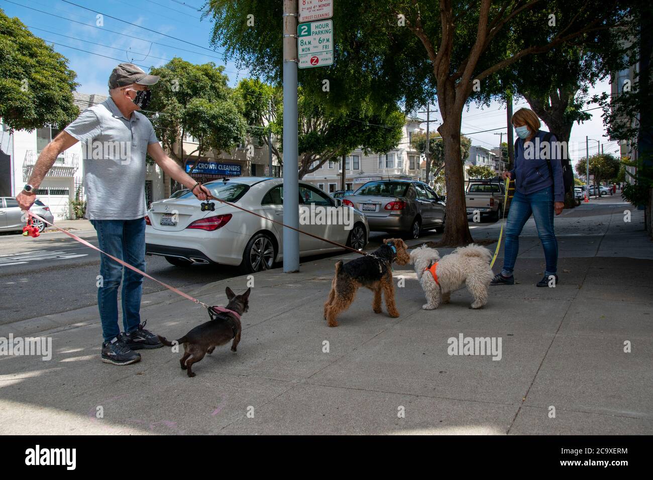 A pair of dog walkers stop for a chat on the sidewalk in the Noe Valley ...