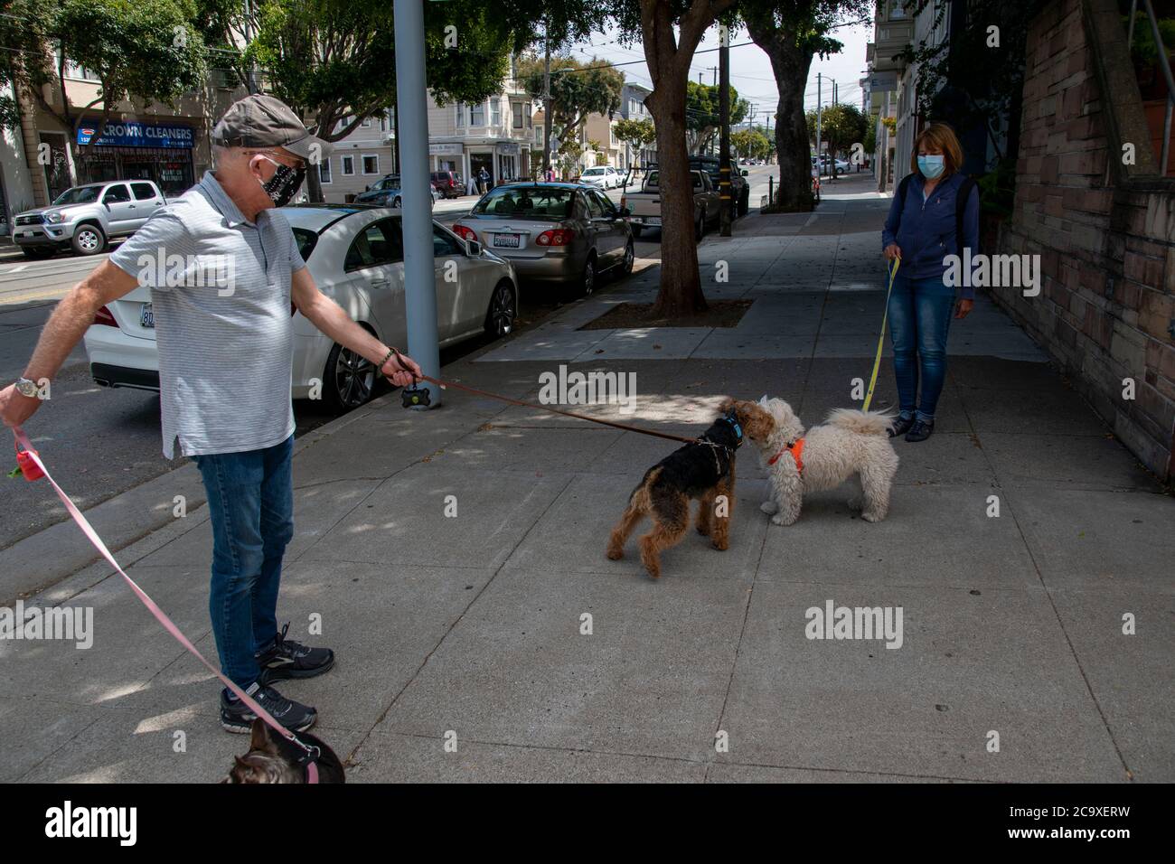 Family walking dog in neighborhood hi-res stock photography and images ...