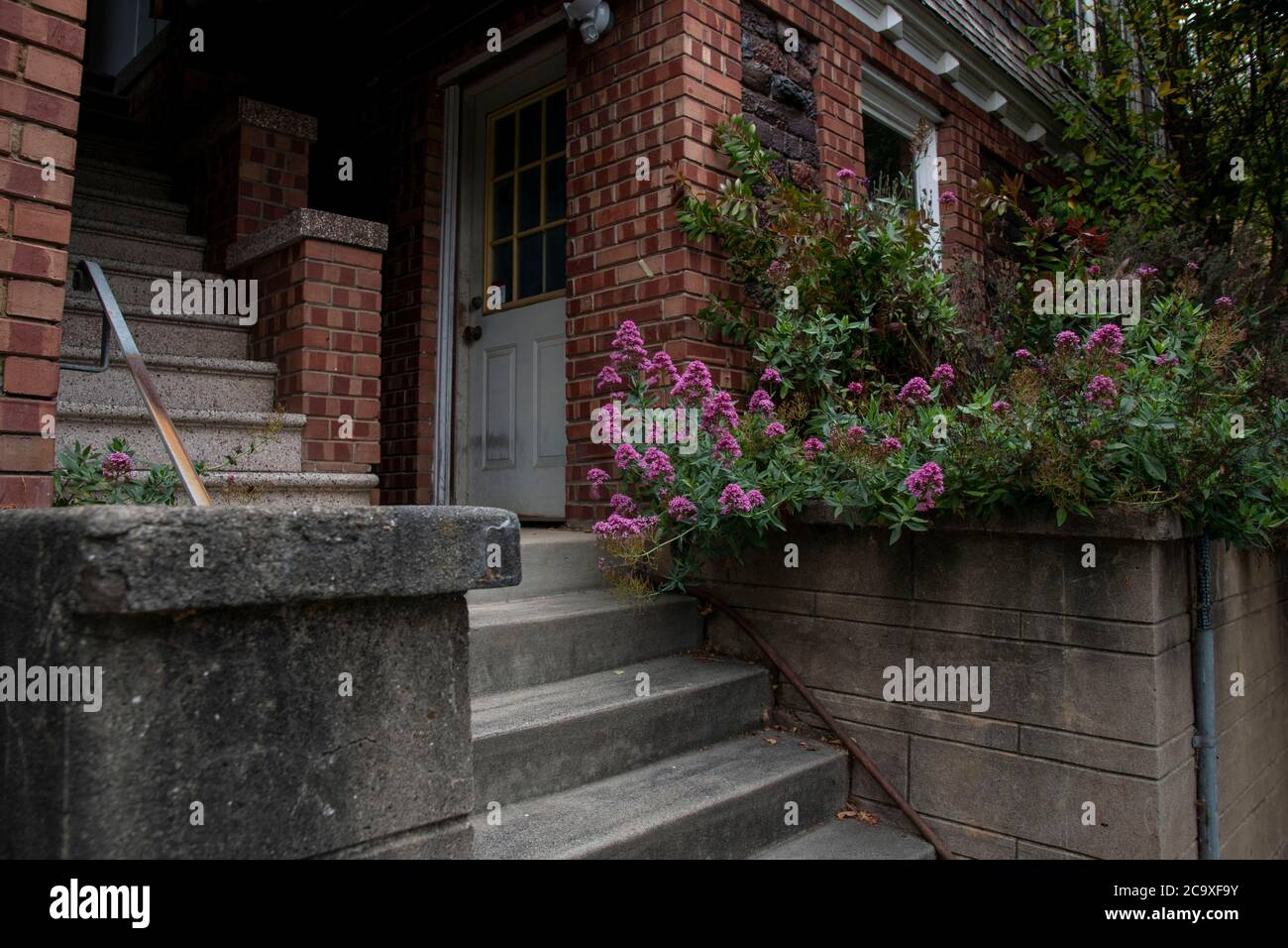 Front stoop stairs steps hi-res stock photography and images - Alamy