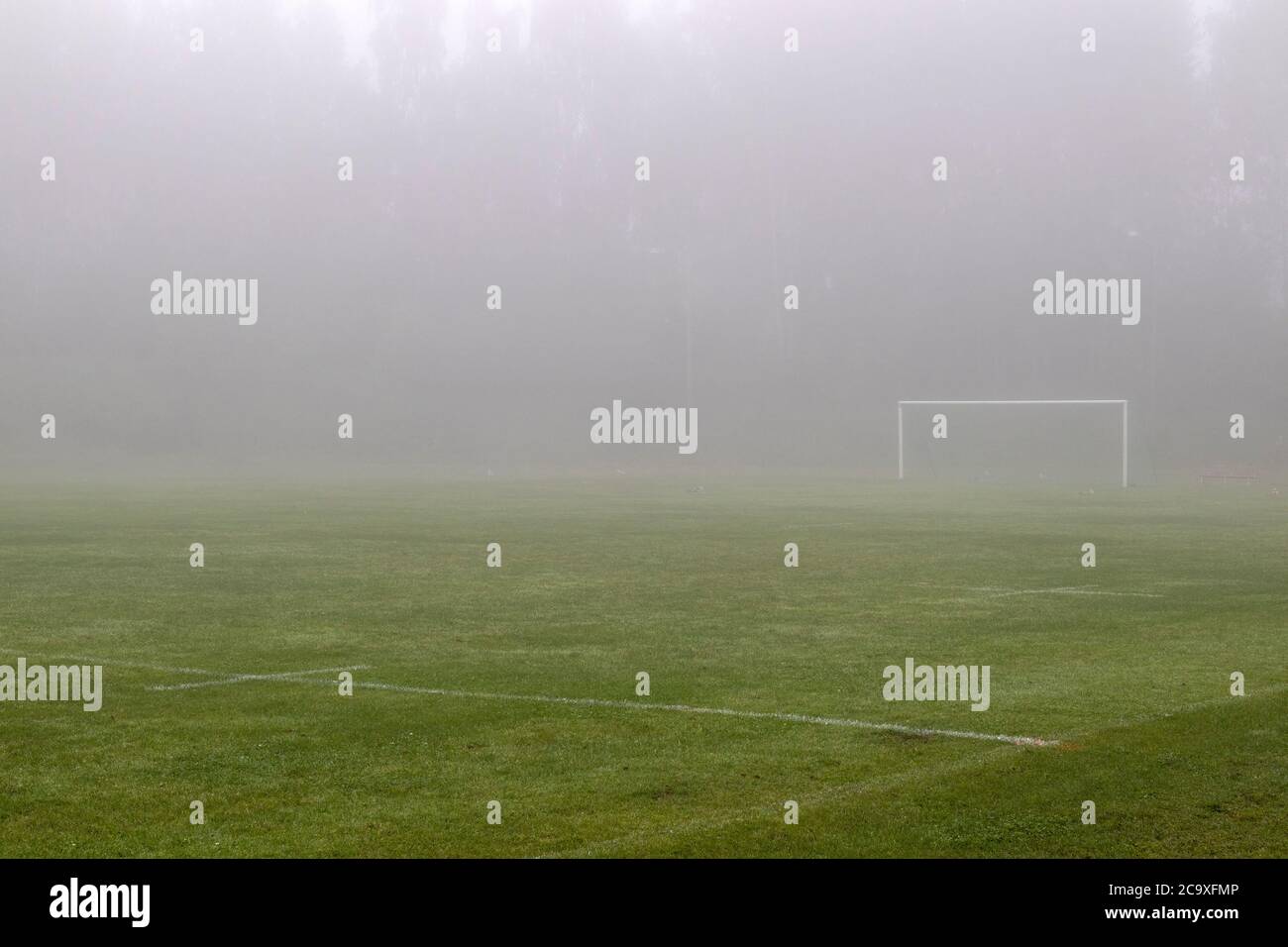 The green grass field of football field in the fog hi-res stock ...
