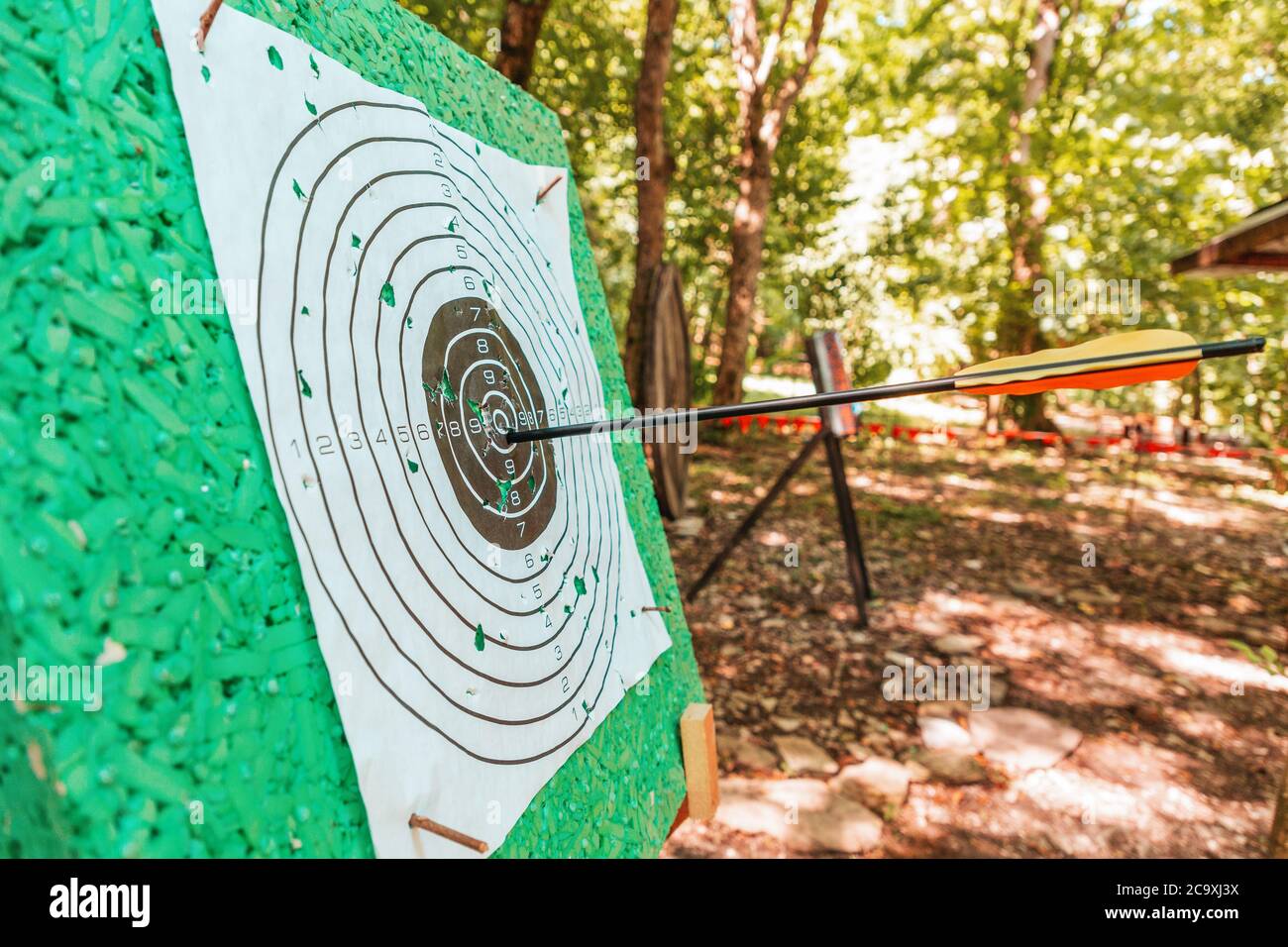 Target for archery, with an arrow in the bull's-eye. Forest in the ...