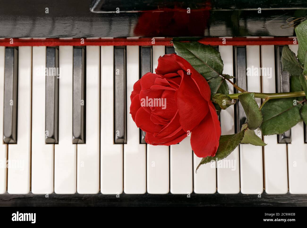 Rose keyboard hi-res stock photography and images - Alamy