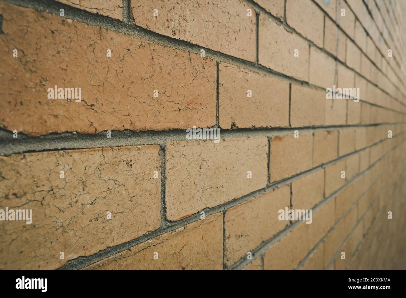 Perspective view of brick wall with shallow focus Stock Photo - Alamy