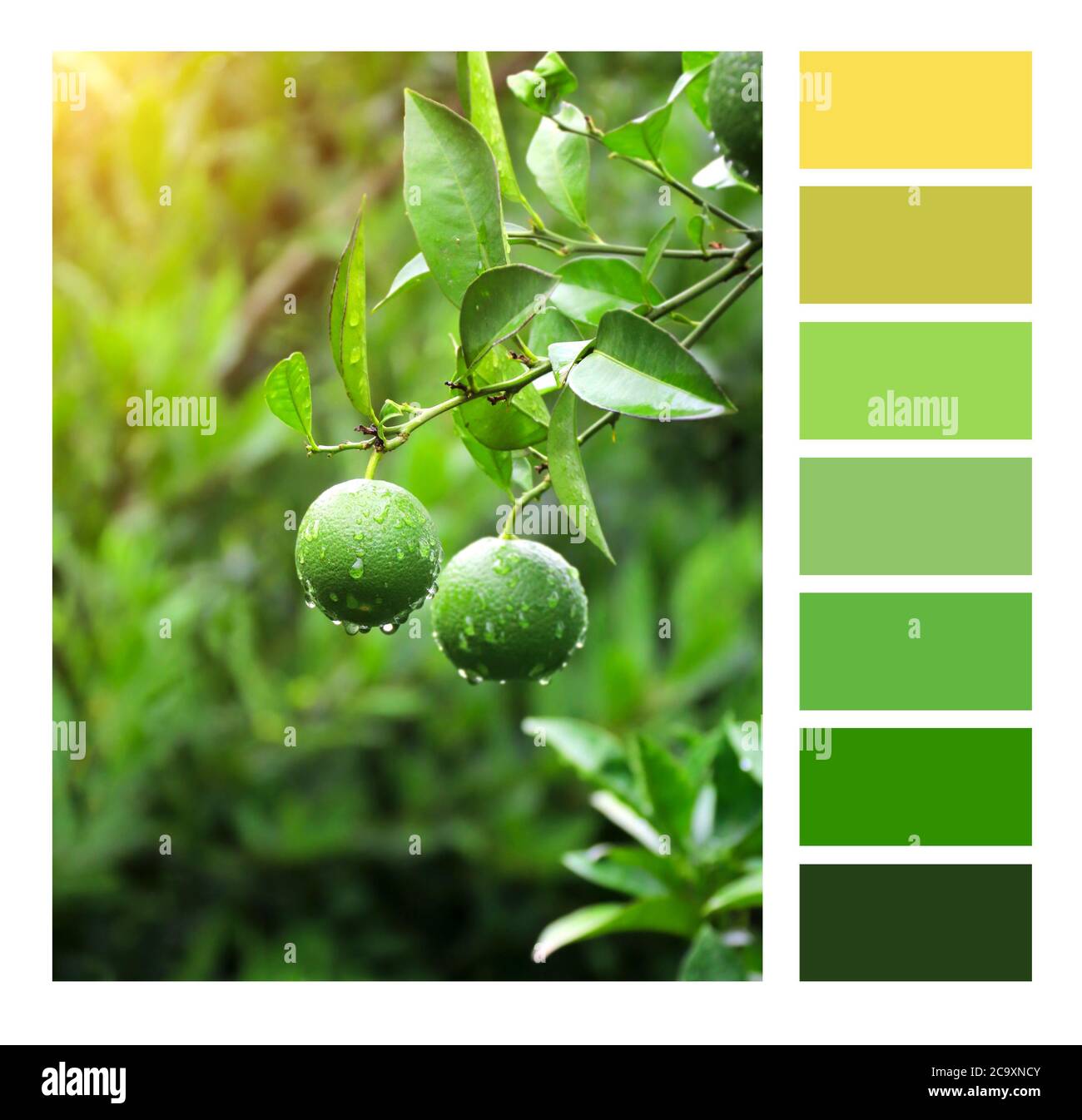 Water sample collection plant hi-res stock photography and images - Alamy