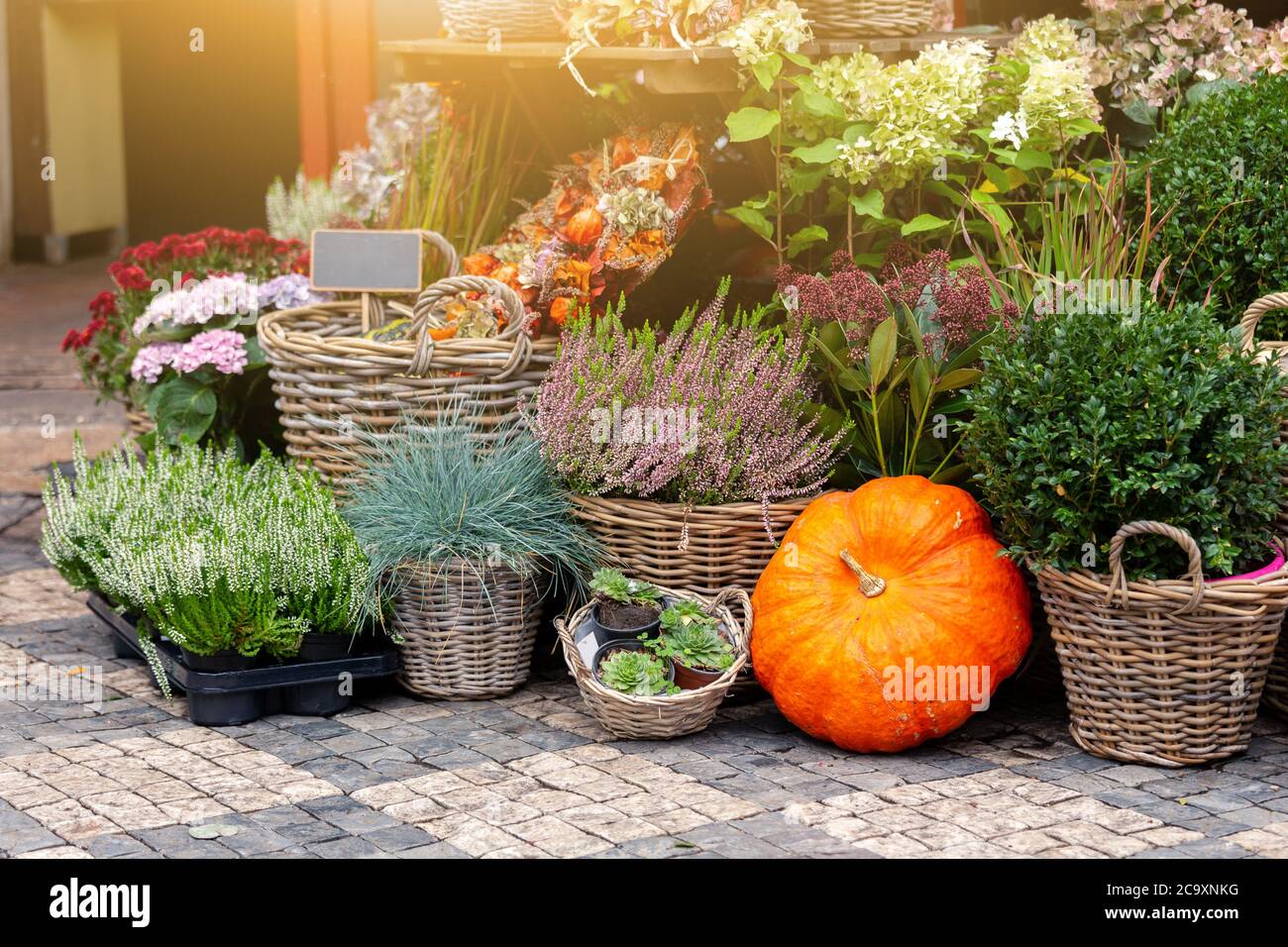 Farmer in city hi-res stock photography and images - Alamy