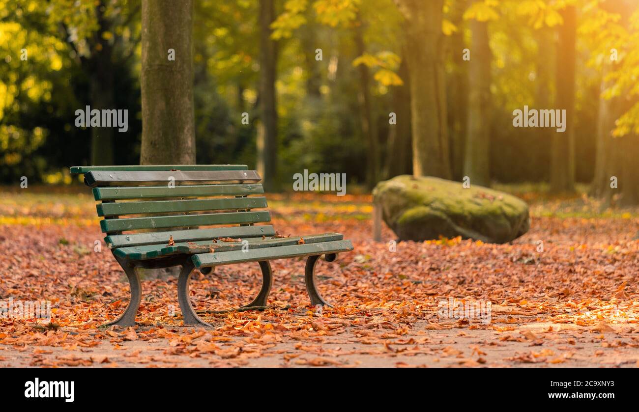 Wood garden bench hi-res stock photography and images - Alamy