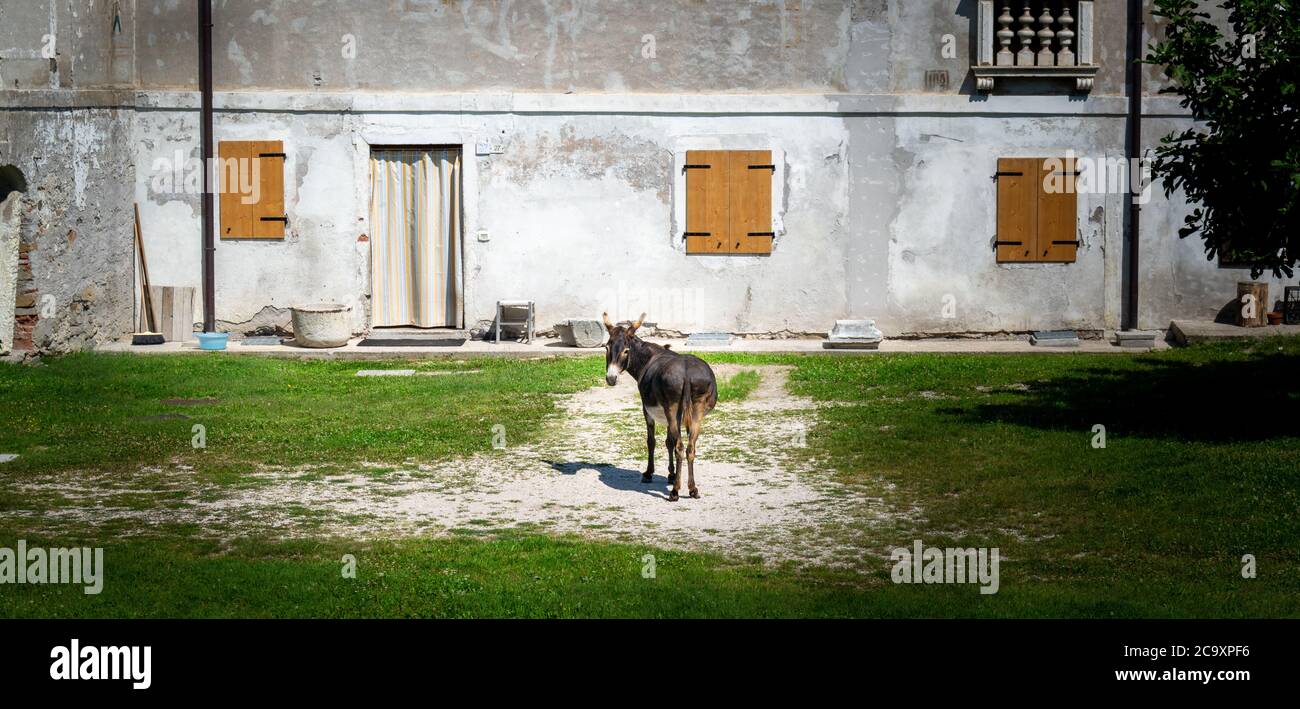 Horizontal view of rural scene. House facade with closed windows and ...