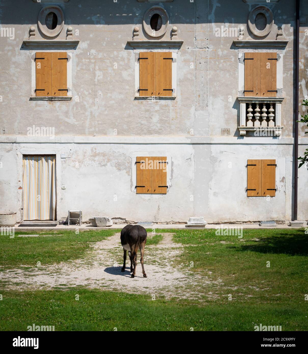 Donkey guard hi-res stock photography and images - Alamy