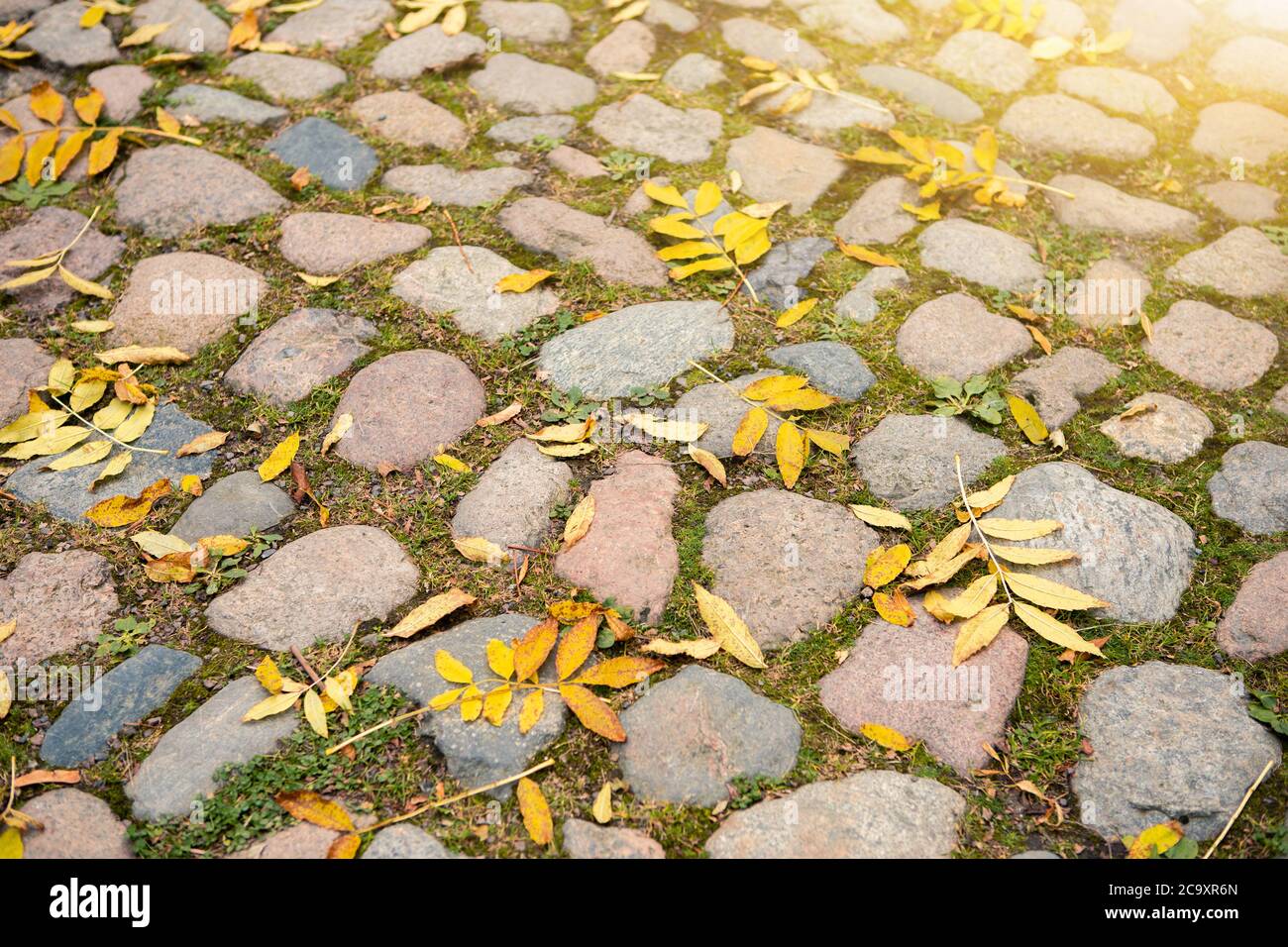 Stone leaves hi-res stock photography and images - Alamy