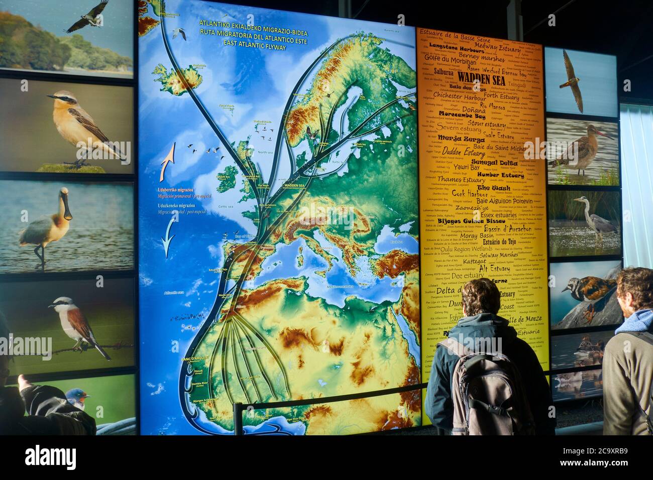 Visitors looking at information panel at Bird Migration Center ...