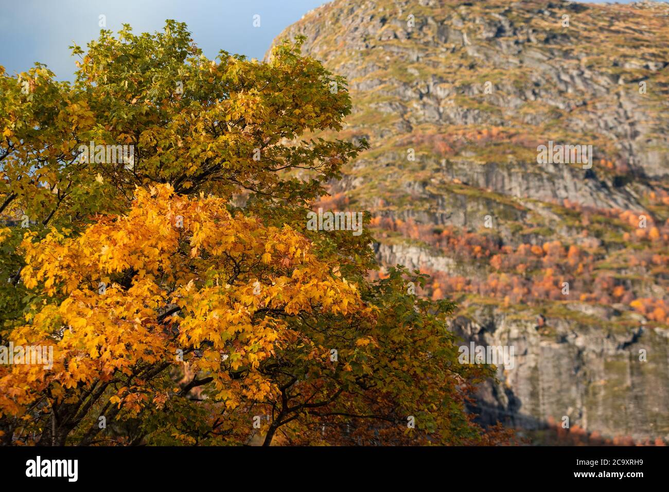 Scenic mountain landscape autumn foliage hi-res stock photography and ...