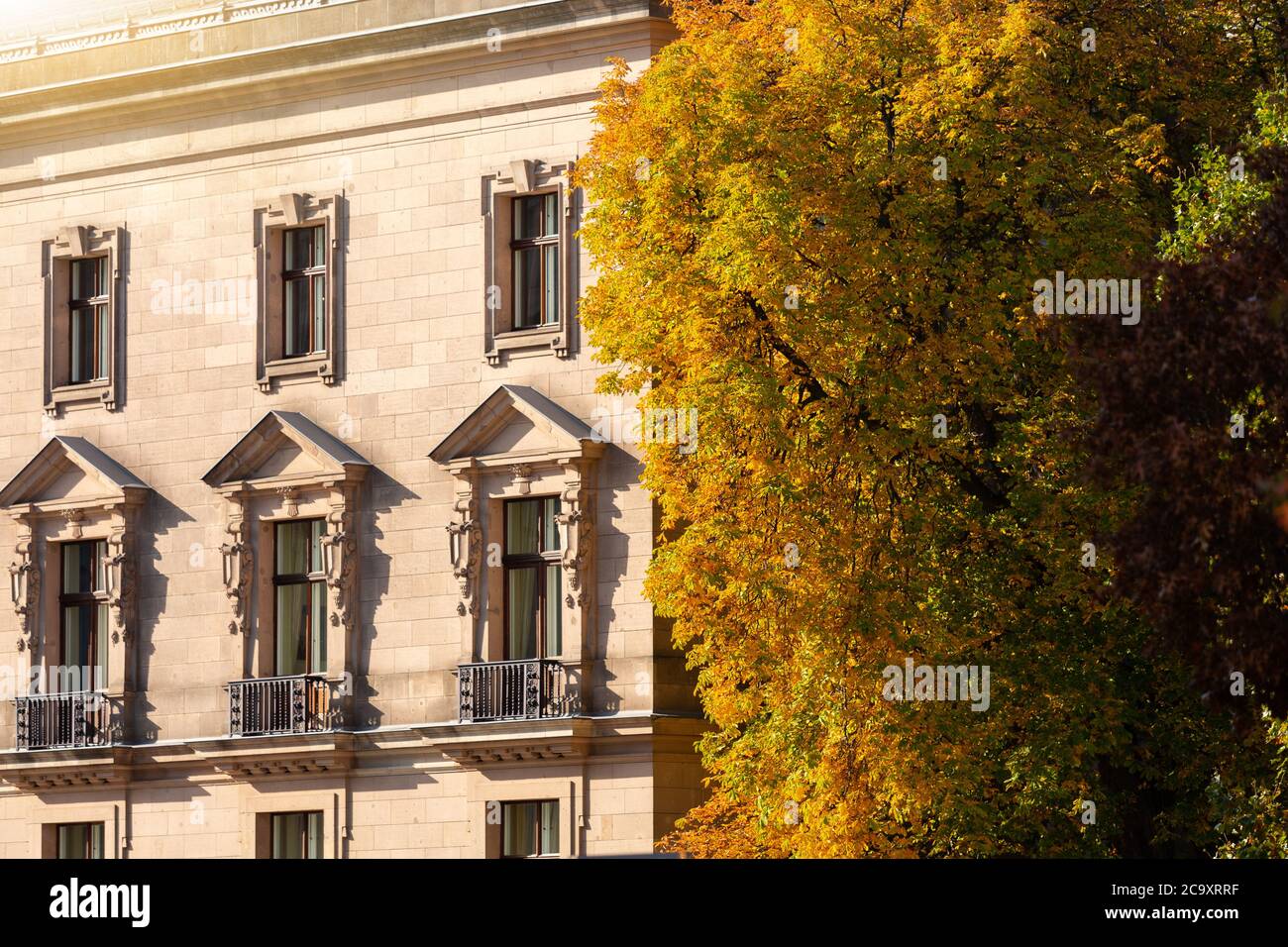 City street trees hi-res stock photography and images - Alamy