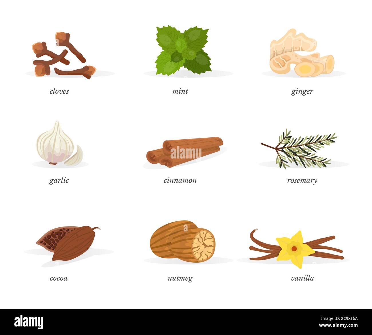 Spices vector illustrations set Stock Vector Image & Art - Alamy