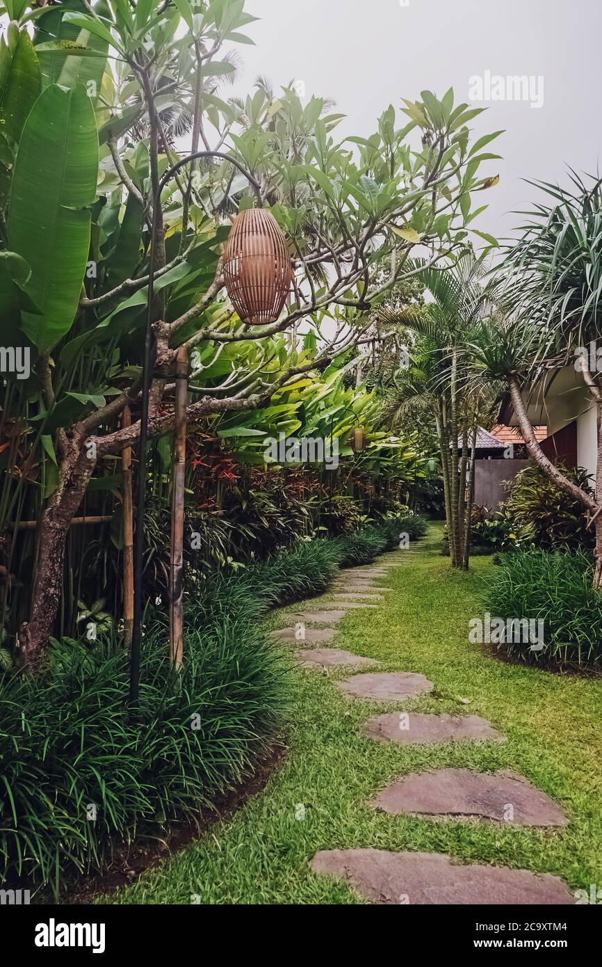 Small trail hi-res stock photography and images - Alamy