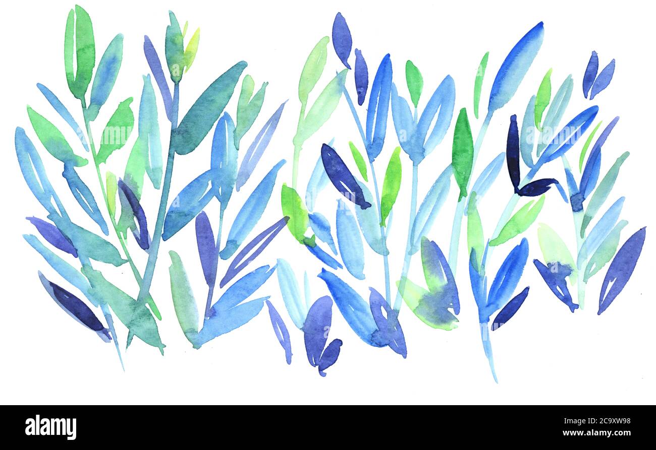 Free hand watercolor blue and green abstract leaves element for card ...