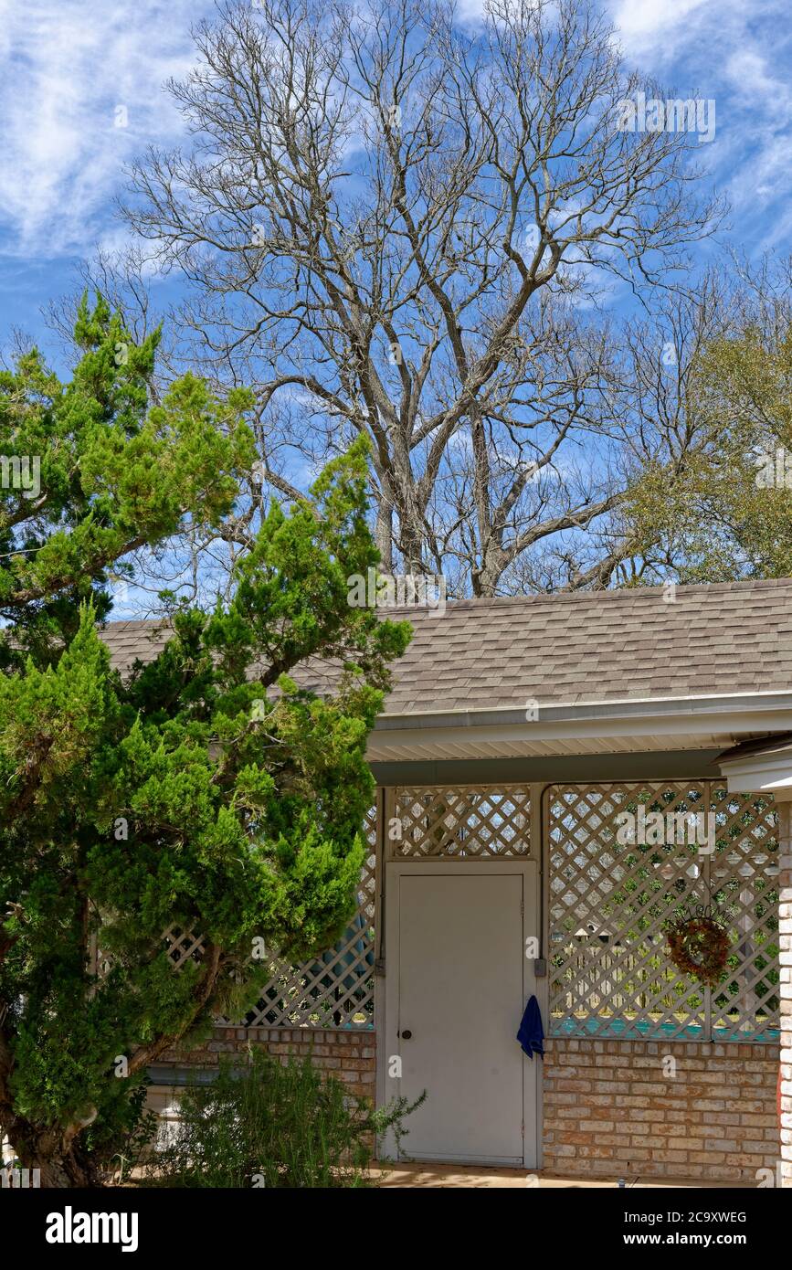 Plain brick wall brickwork hi-res stock photography and images - Alamy
