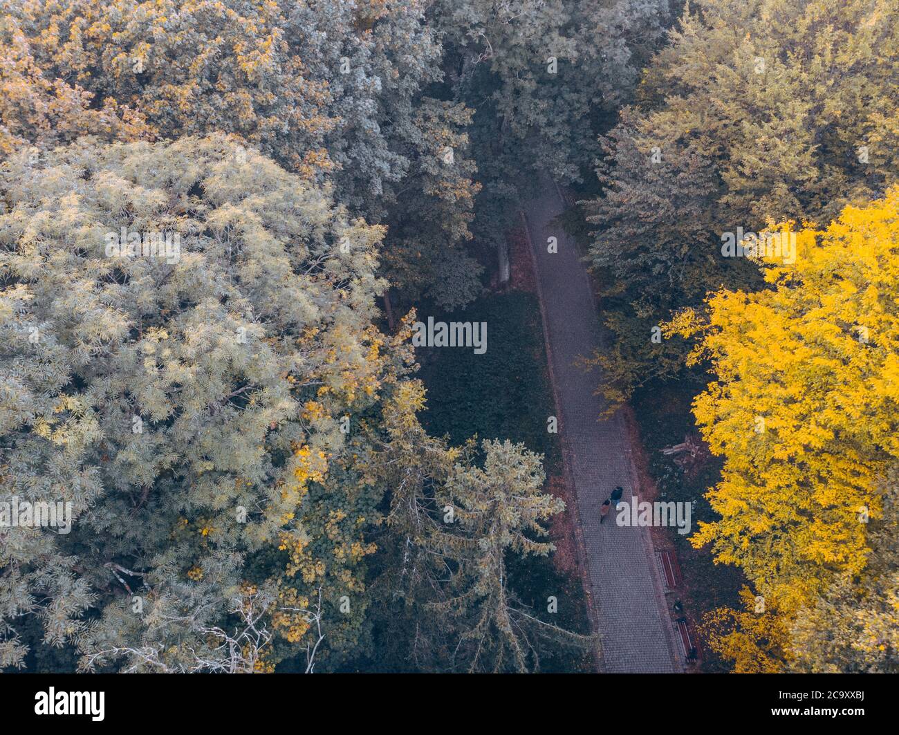overhead view of autumn city park Stock Photo - Alamy