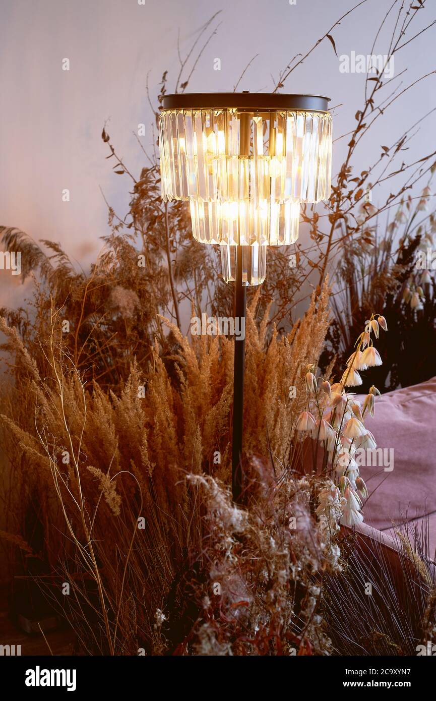 Lamp is a floor lamp with warm light and glass surrounded by cereals ...