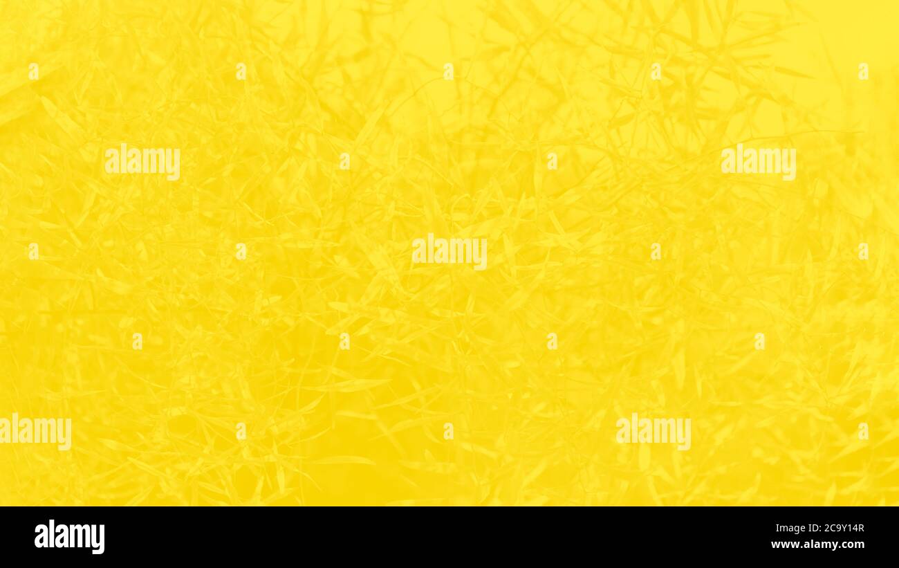 Vivid yellow background, panorama abstract blurred background, leaves ...
