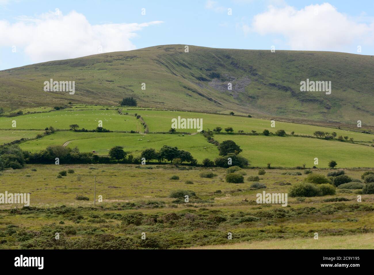 Preseli mountains hi-res stock photography and images - Alamy