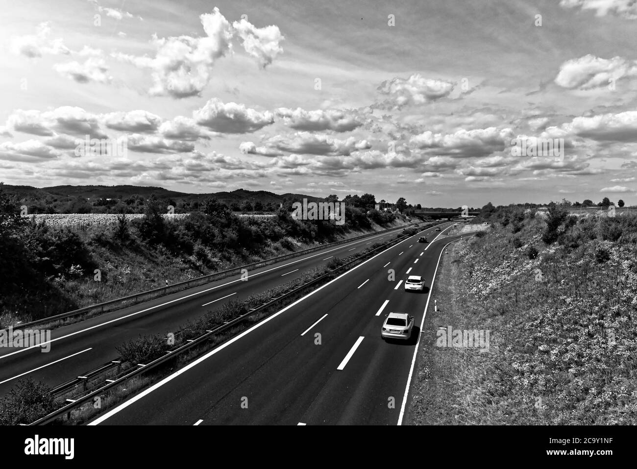Common field plant Black and White Stock Photos & Images - Alamy