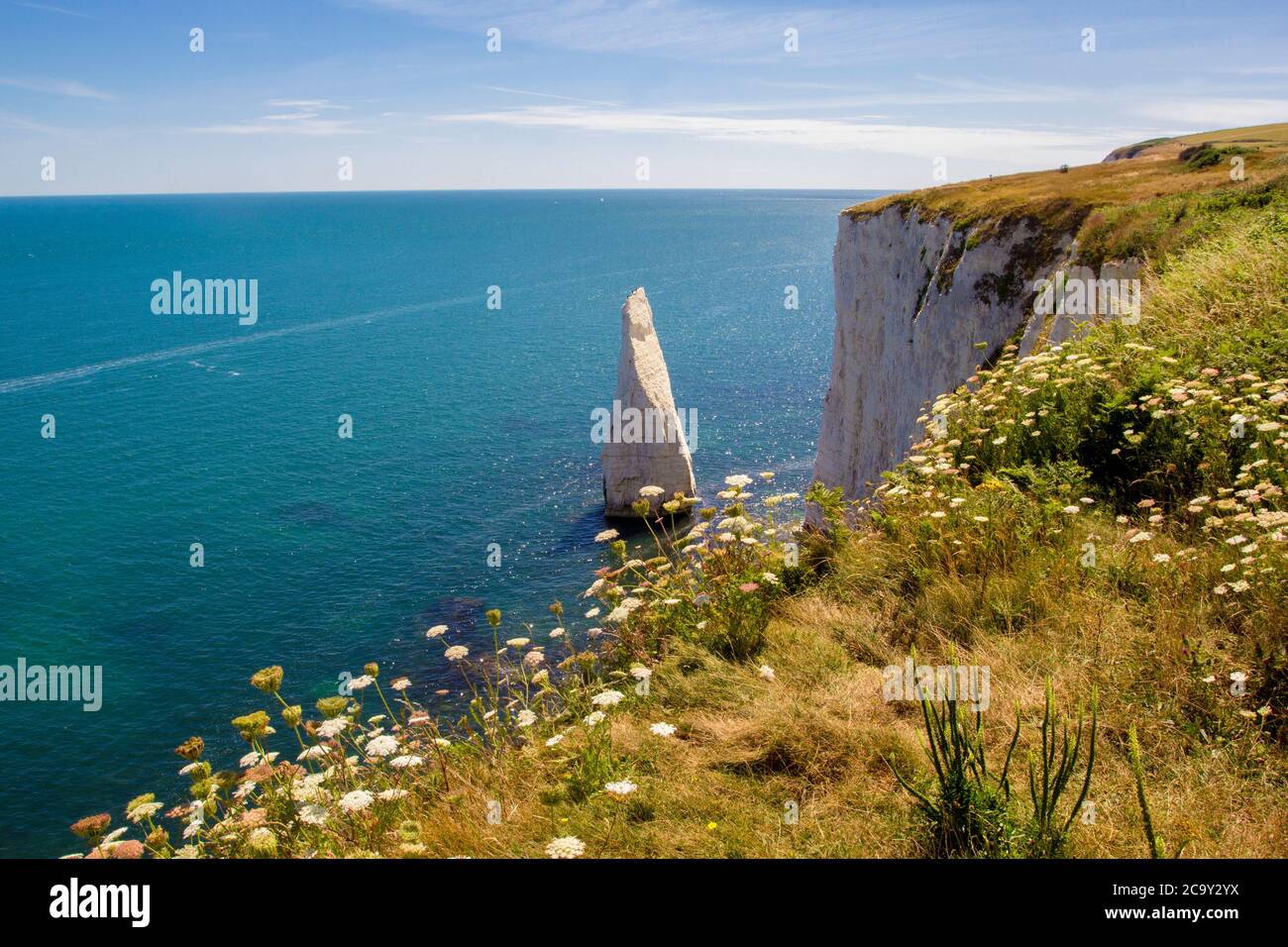 Old Harry Rocks, Dorset, England, UK Stock Photo - Alamy