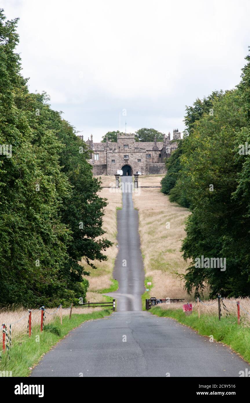 De hoghton family hi-res stock photography and images - Alamy