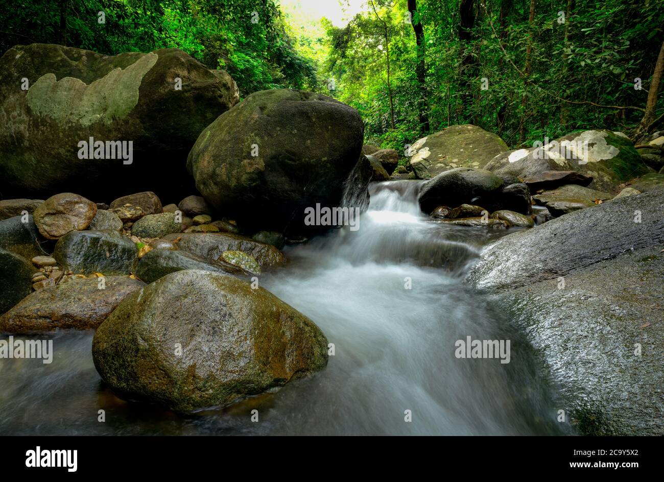 Rock or stone at waterfall. Beautiful waterfall in jungle. Waterfall in ...