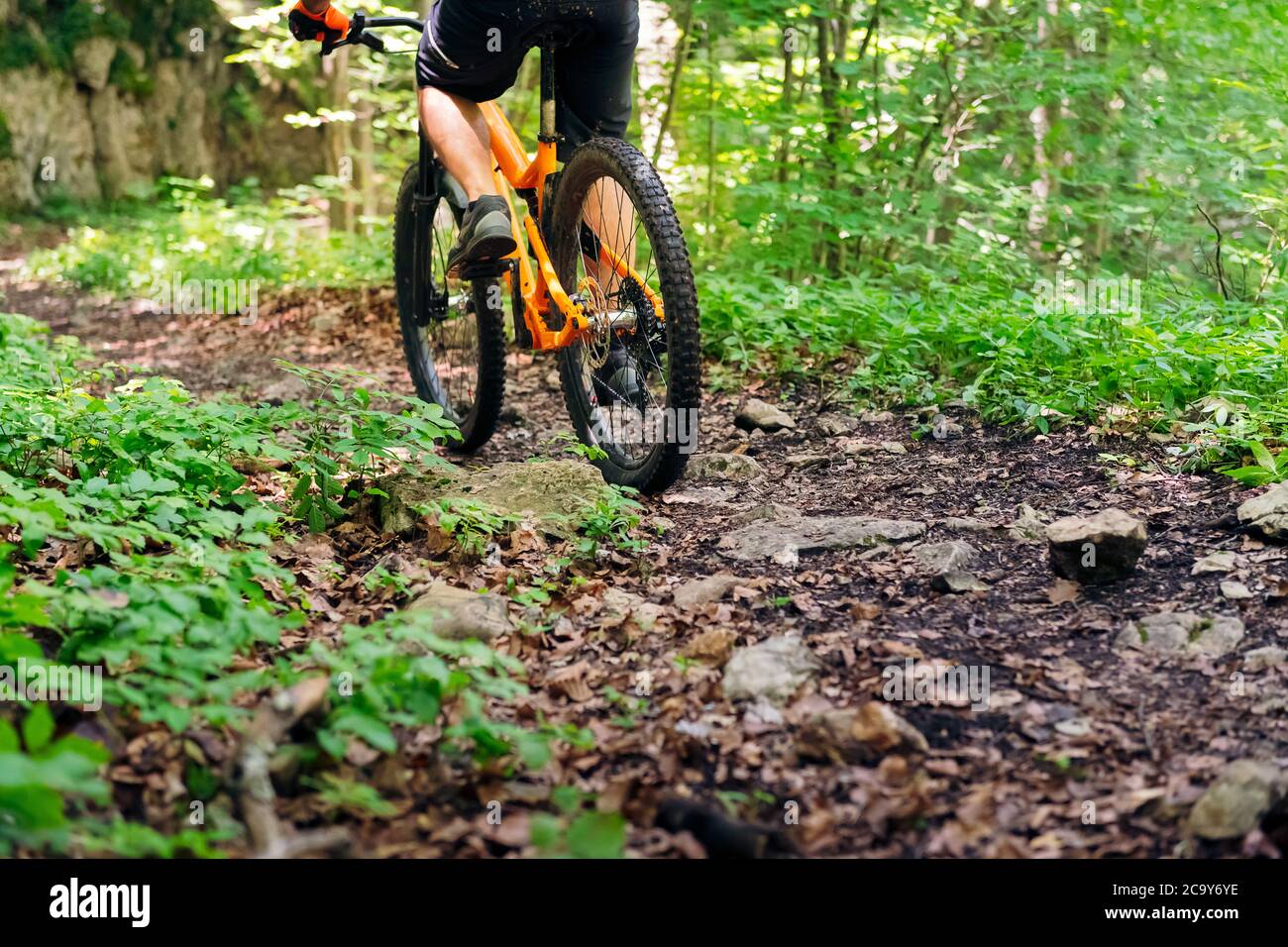 Back view boy on bicycle hi-res stock photography and images - Alamy
