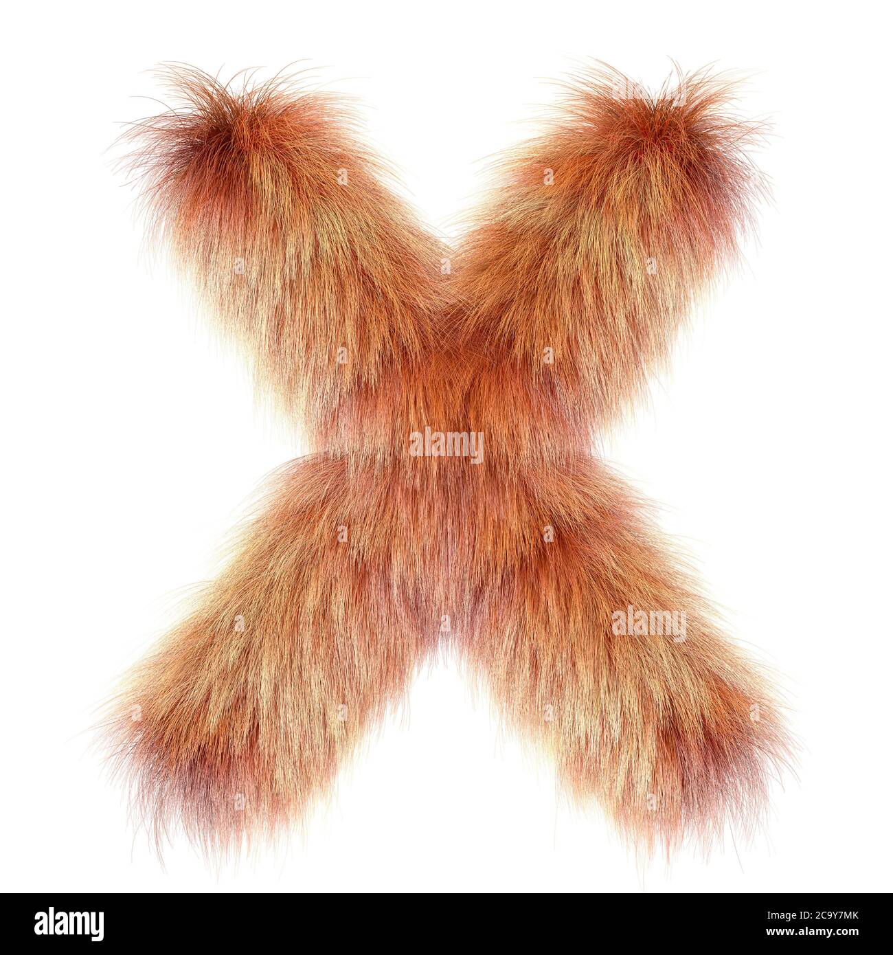 English red fox Cut Out Stock Images & Pictures - Alamy