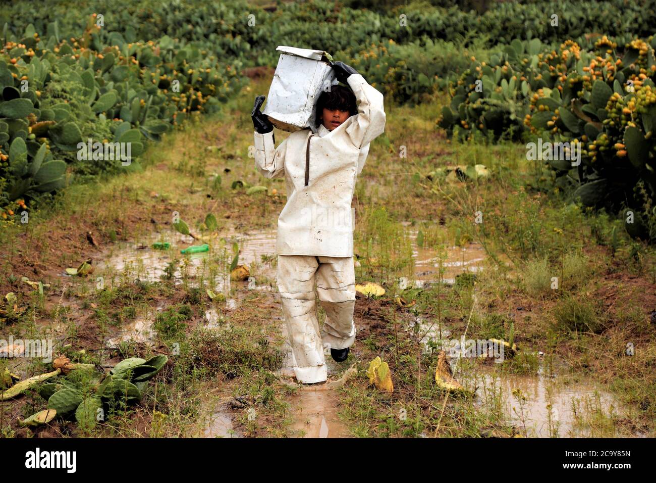 Farmer blockade hi-res stock photography and images - Alamy