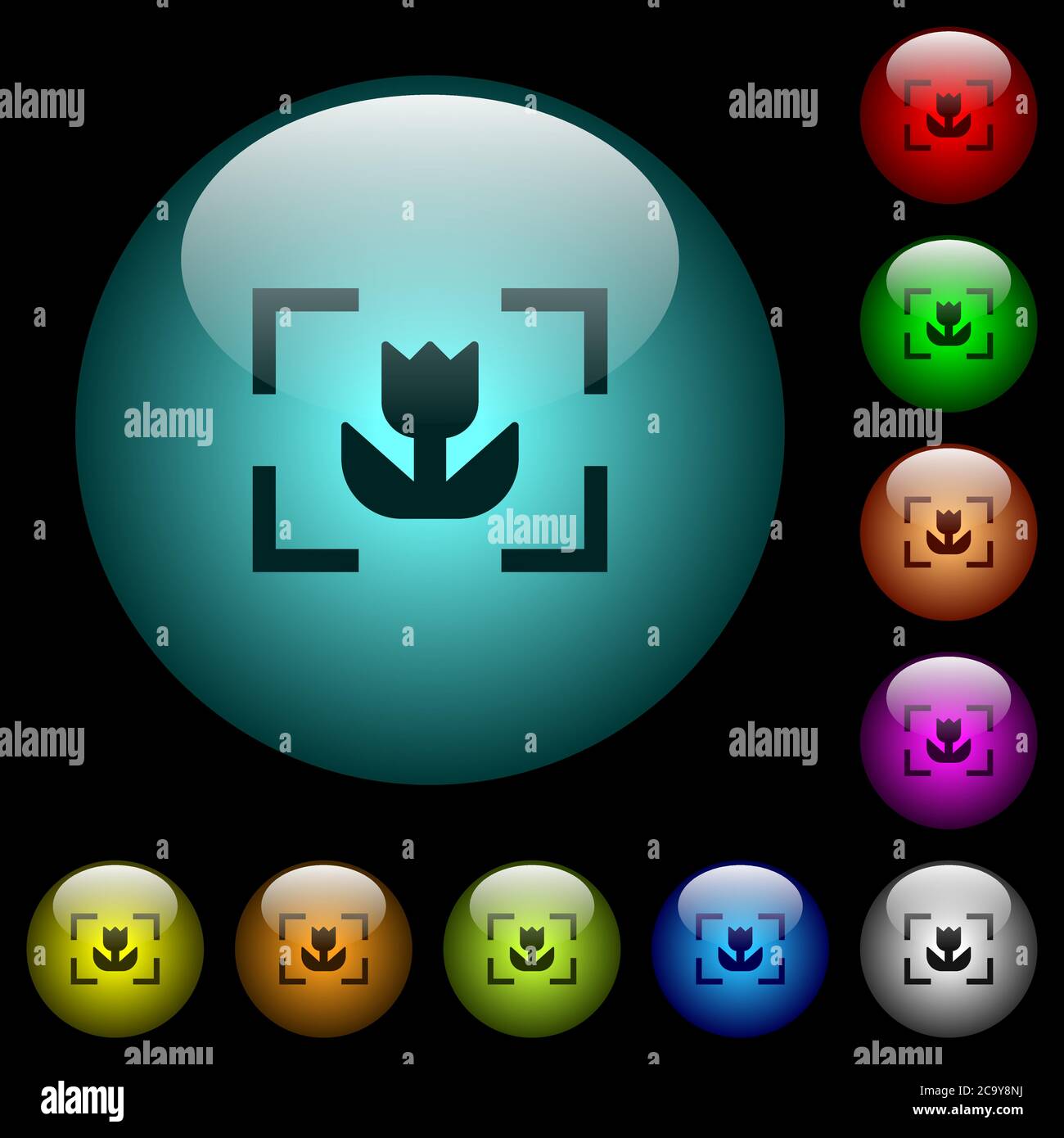 Camera macro mode icons in color illuminated spherical glass buttons on ...