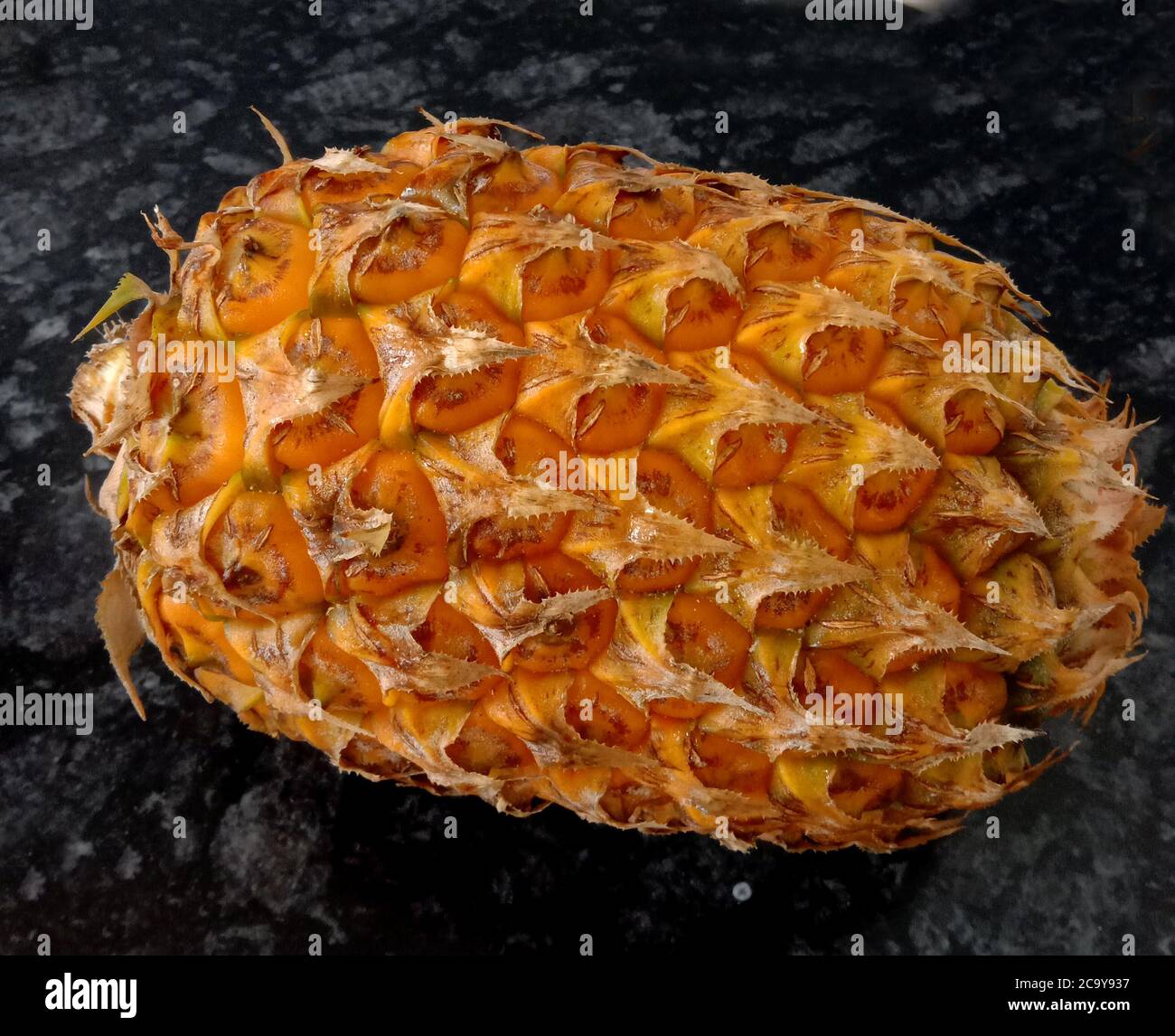 Growing single pineapple hi-res stock photography and images - Alamy