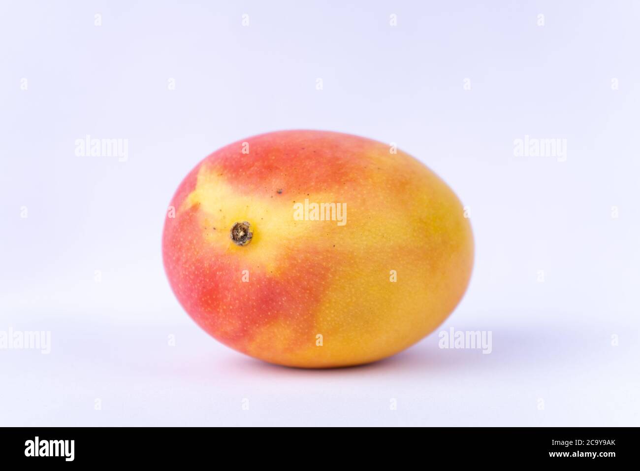 Image of ripe fresh mango on white background Stock Photo - Alamy