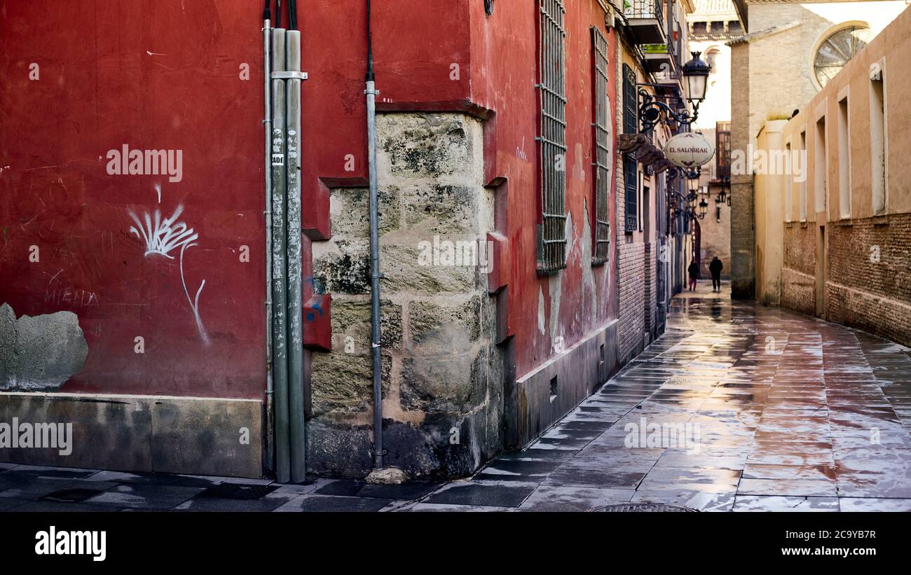 Eye level shot hi-res stock photography and images - Alamy