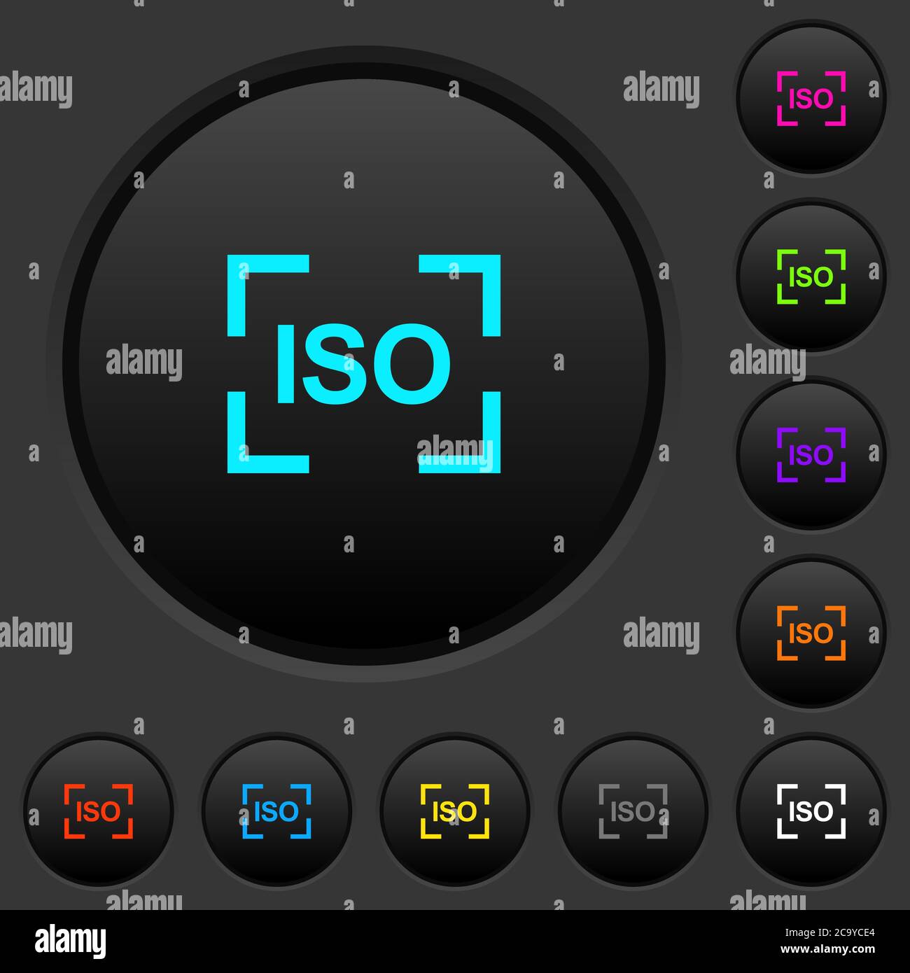 Camera iso speed setting dark push buttons with vivid color icons on ...