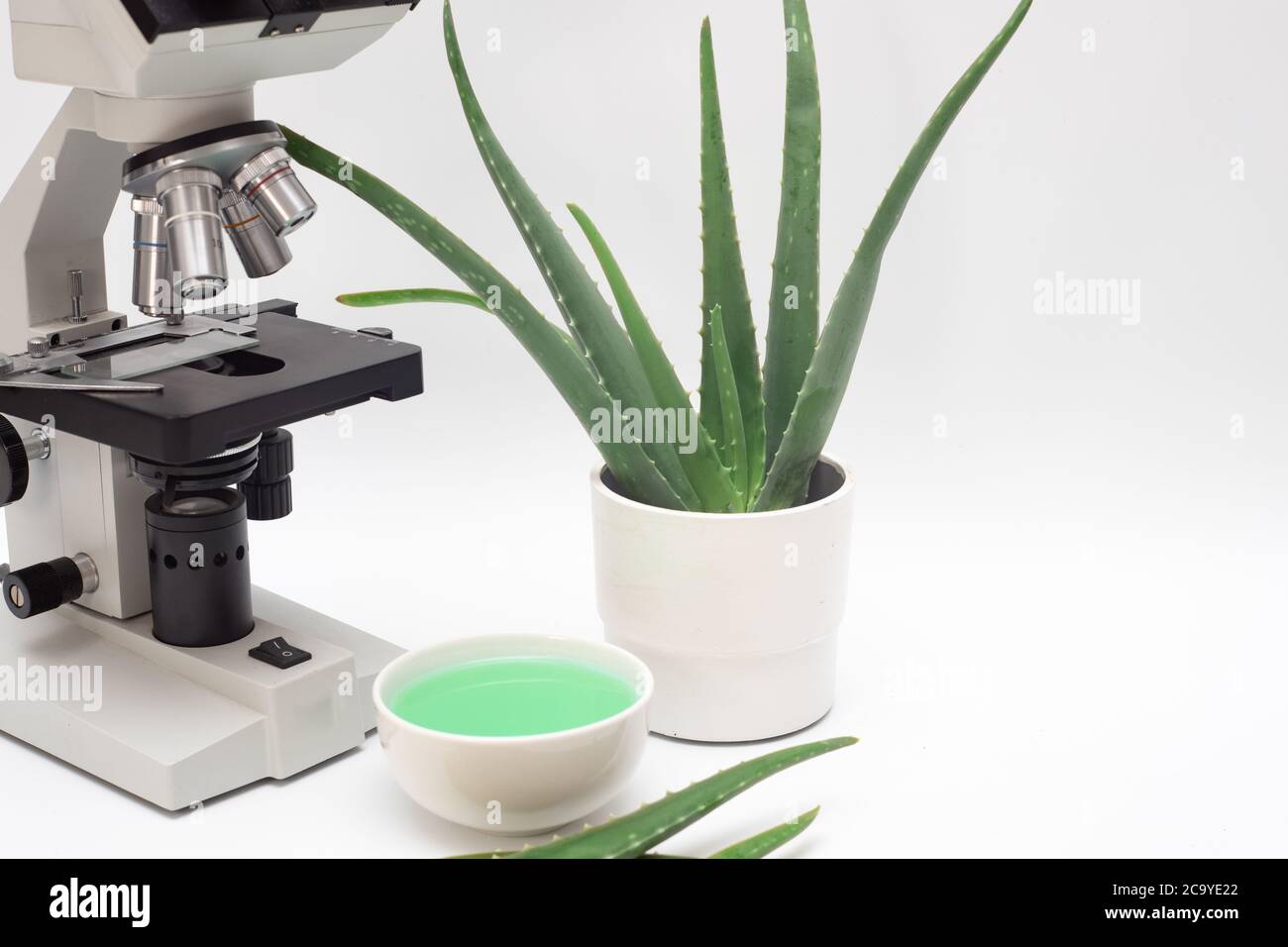 Microscope with an aloe vera plant next to some cut leaves and a cup ...