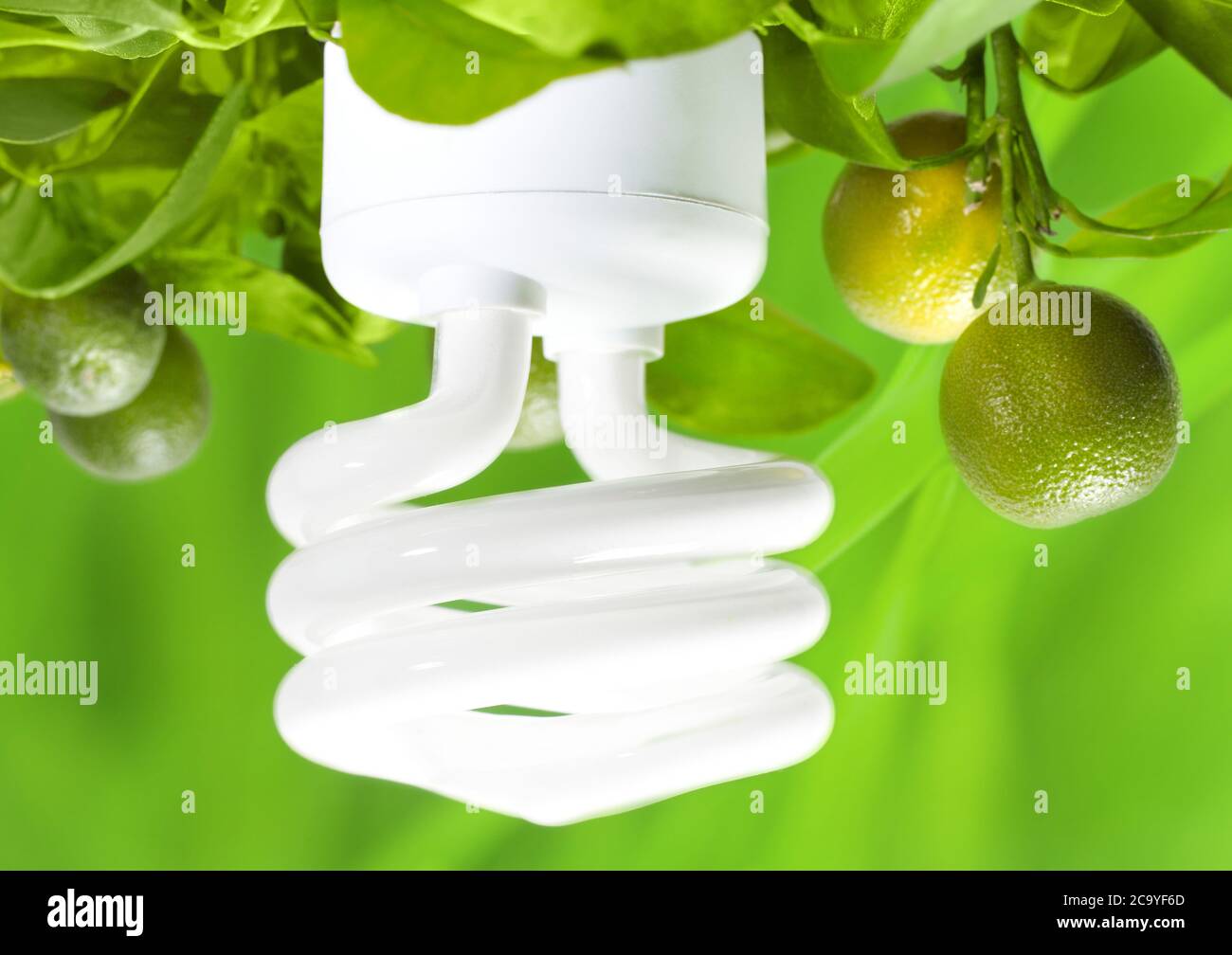 Eco-friendly light bulb Stock Photo - Alamy