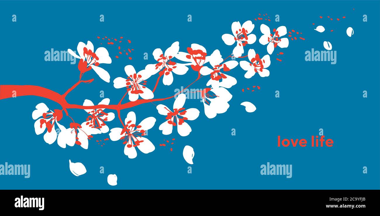 Spring tree blossom branch with white cherry flowers. Floral vector ...