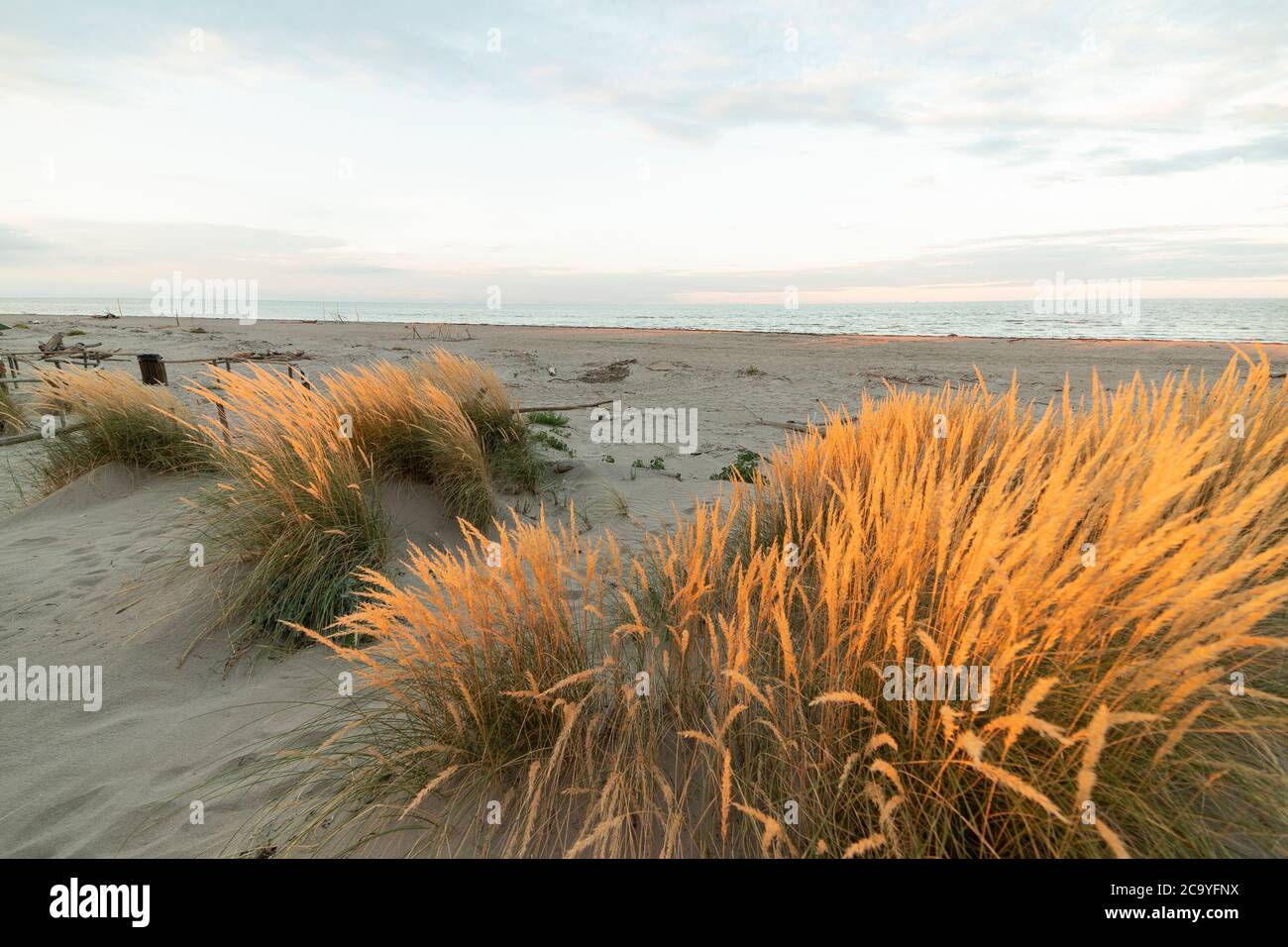 Porto Caleri coastal botanical garden and wild beach, Veneto, Italy ...