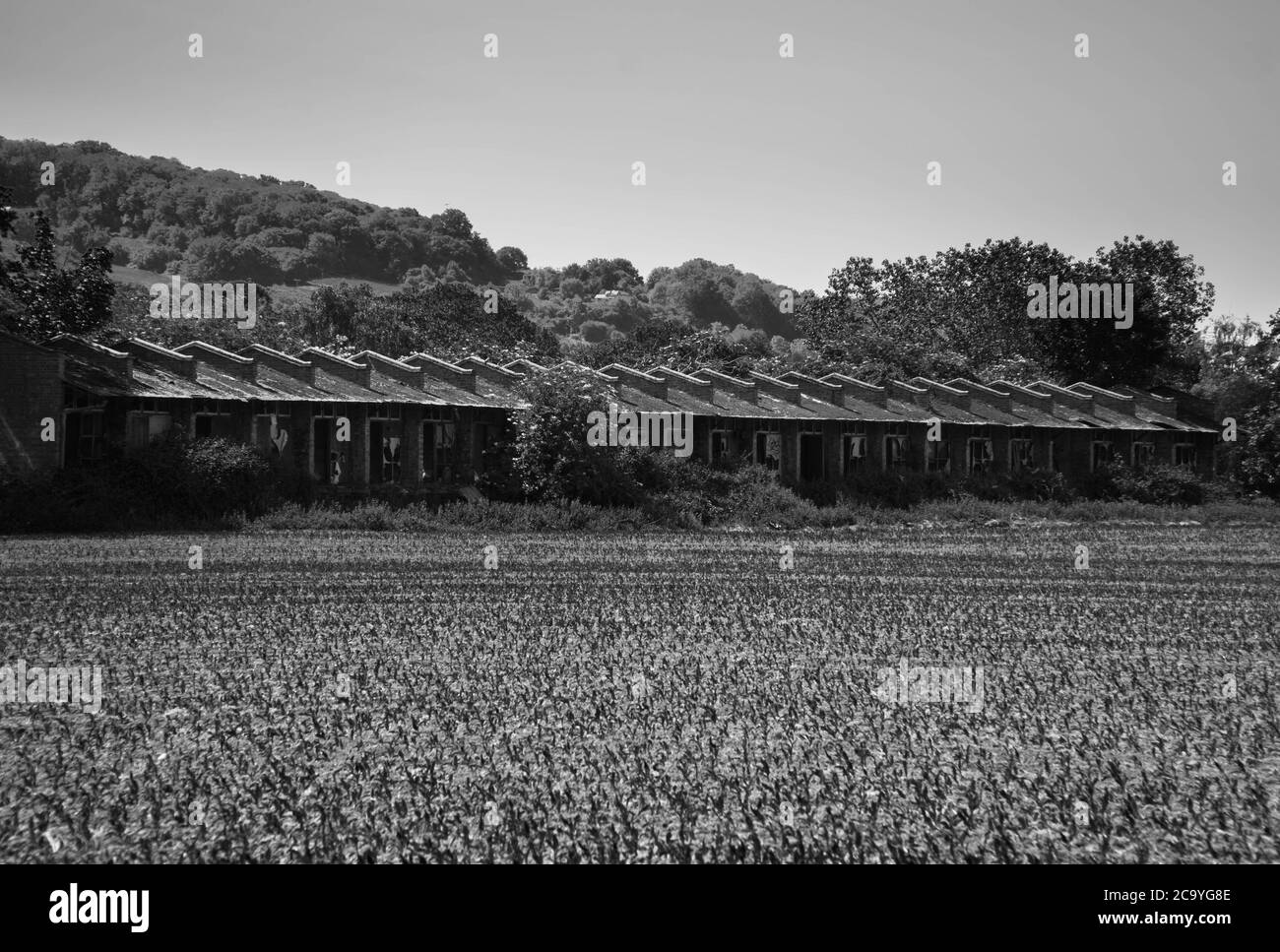 Munitions factory during ww1 Black and White Stock Photos & Images - Alamy
