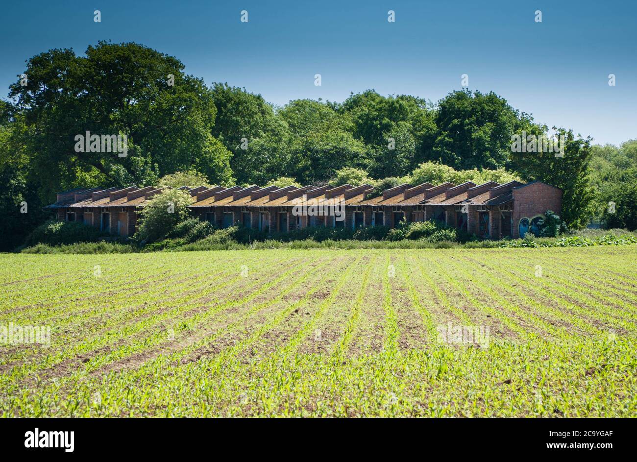 Derelict buildings the remains of what was the Rotherwas Munitions ...
