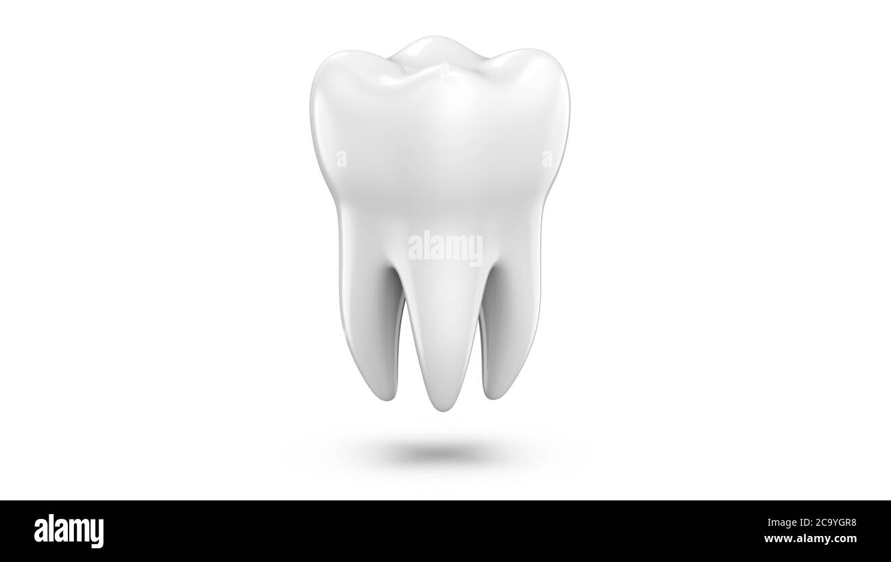 Tooth 3d Model