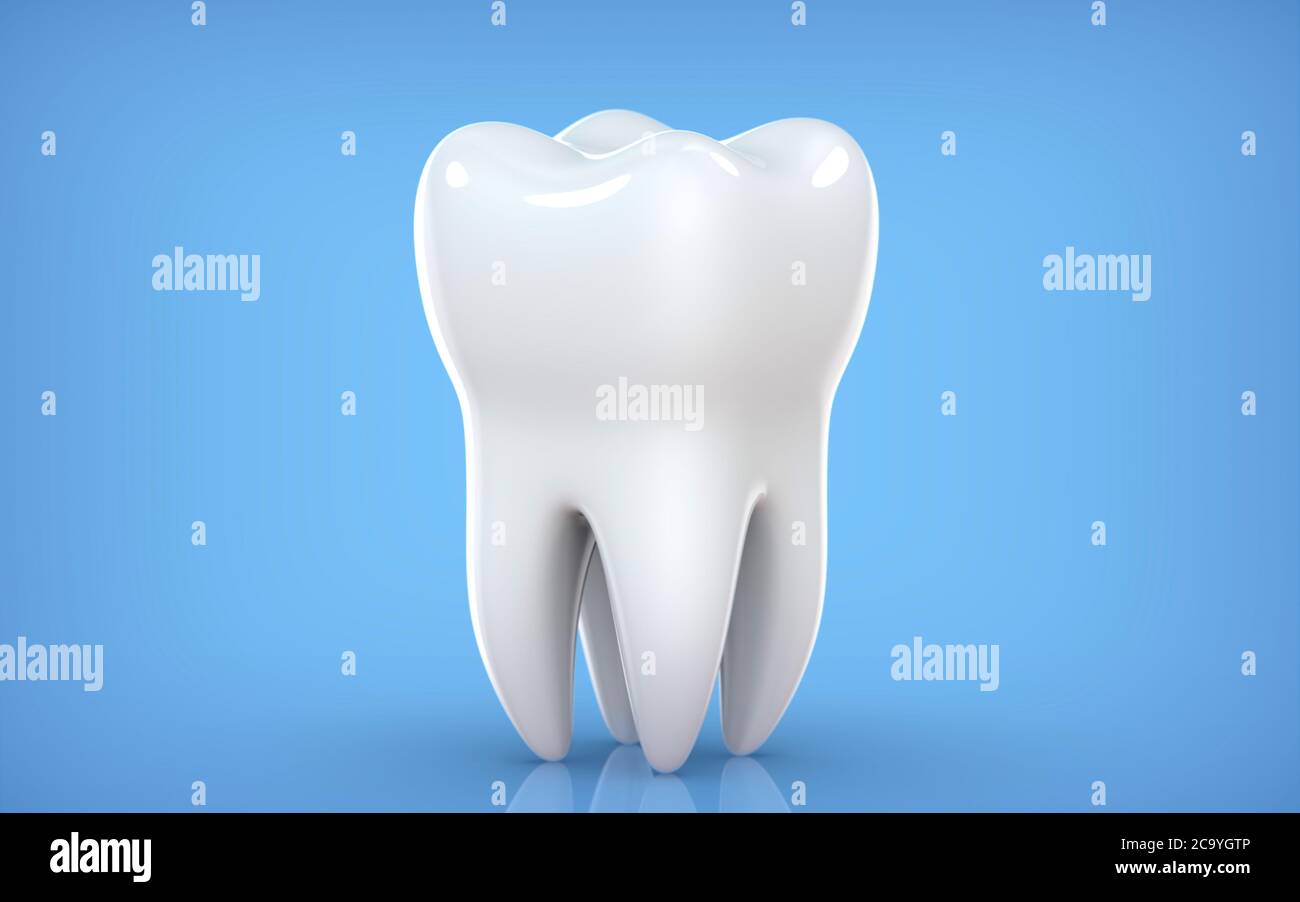 Dental model of premolar tooth, 3d rendering on blue backgroun. 3d ...