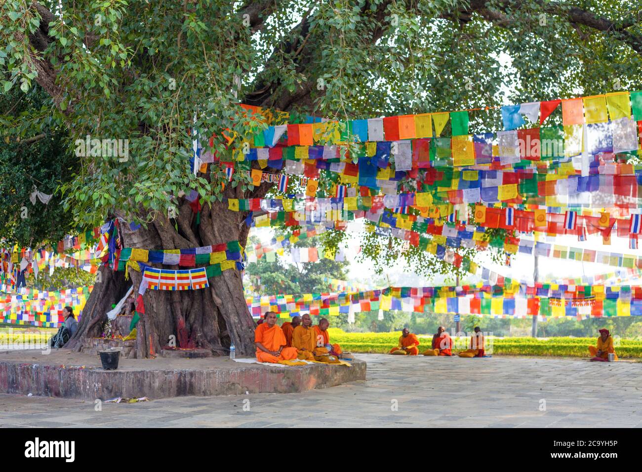 LUMBINI, NEPAL - NOVEMBER 15 : Pilgrims visit the birthplace of Buddha ...