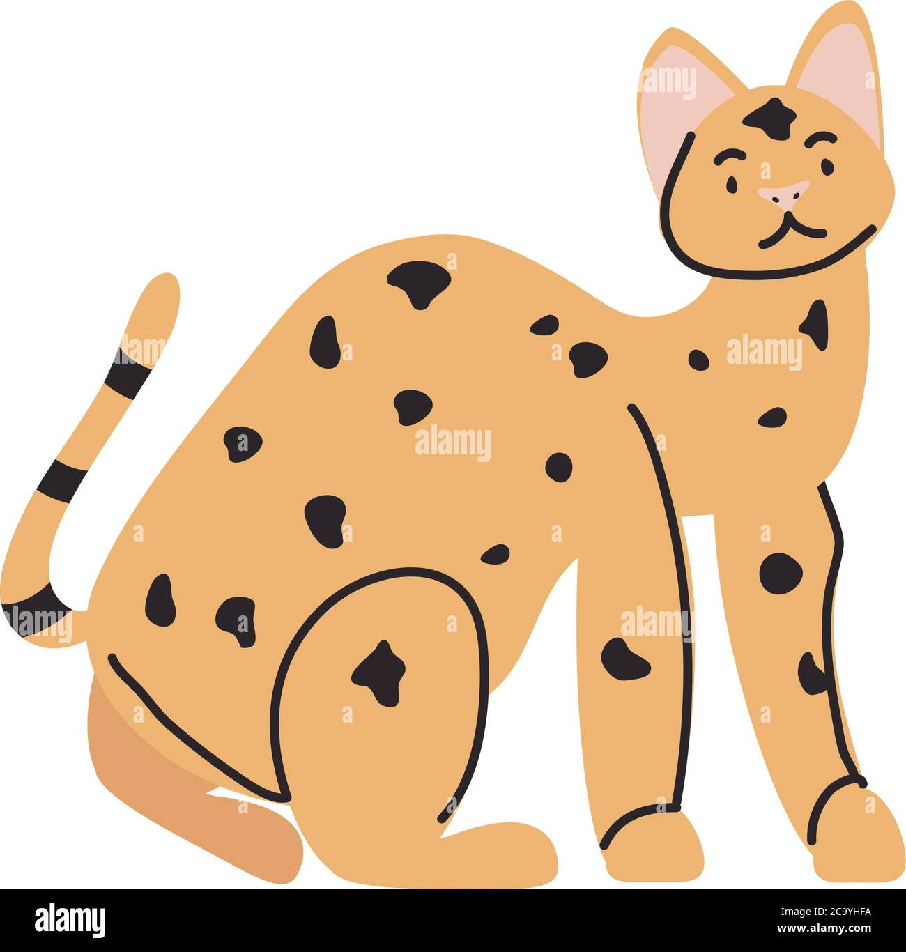 cute domestic cat on white background vector illustration design Stock ...